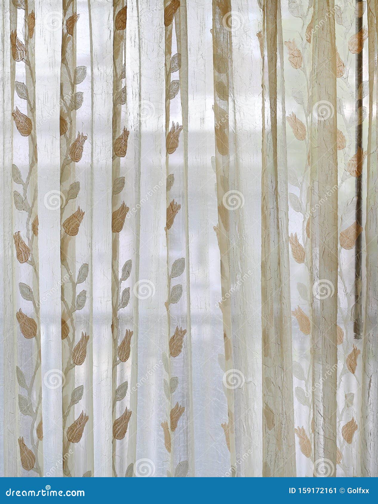 Transparent Curtain Fabric with Flower Pattern Stock Image - Image of ...