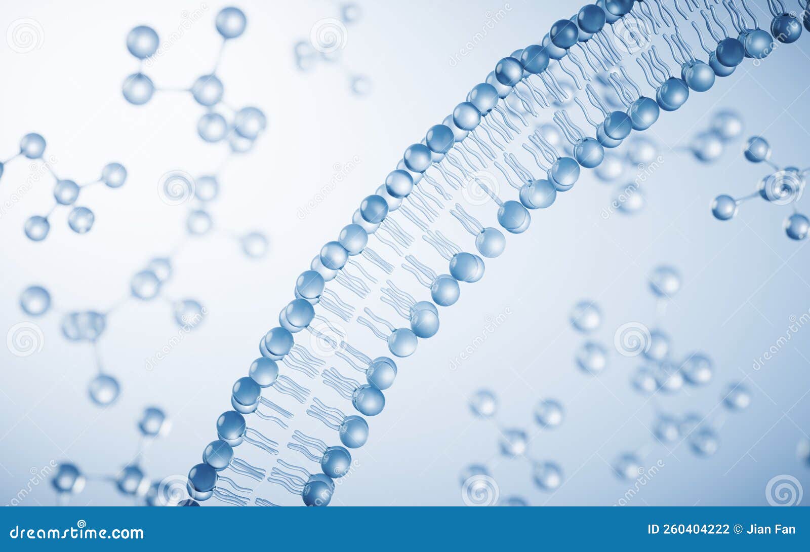 Transparent Cytomembrane Structure, 3d Rendering Stock Illustration ...
