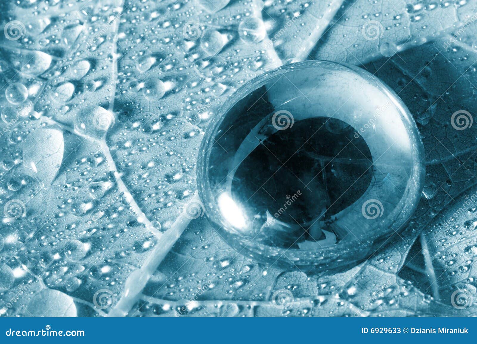 Transparent drop of water stock image. Image of bubble - 6929633