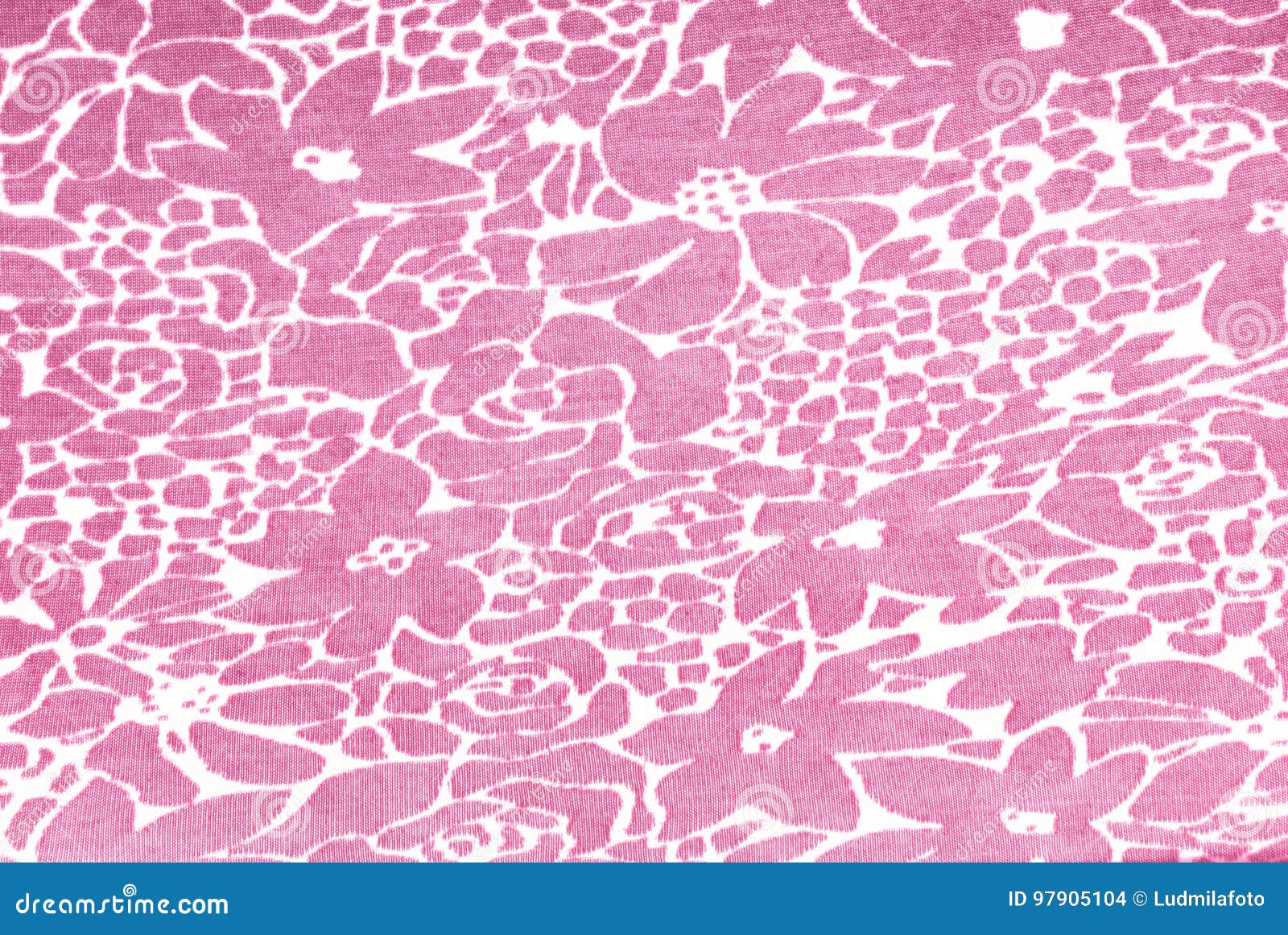 Transparent Fabric Has Scarlet Colour, Lace Texture Backgrounds ...