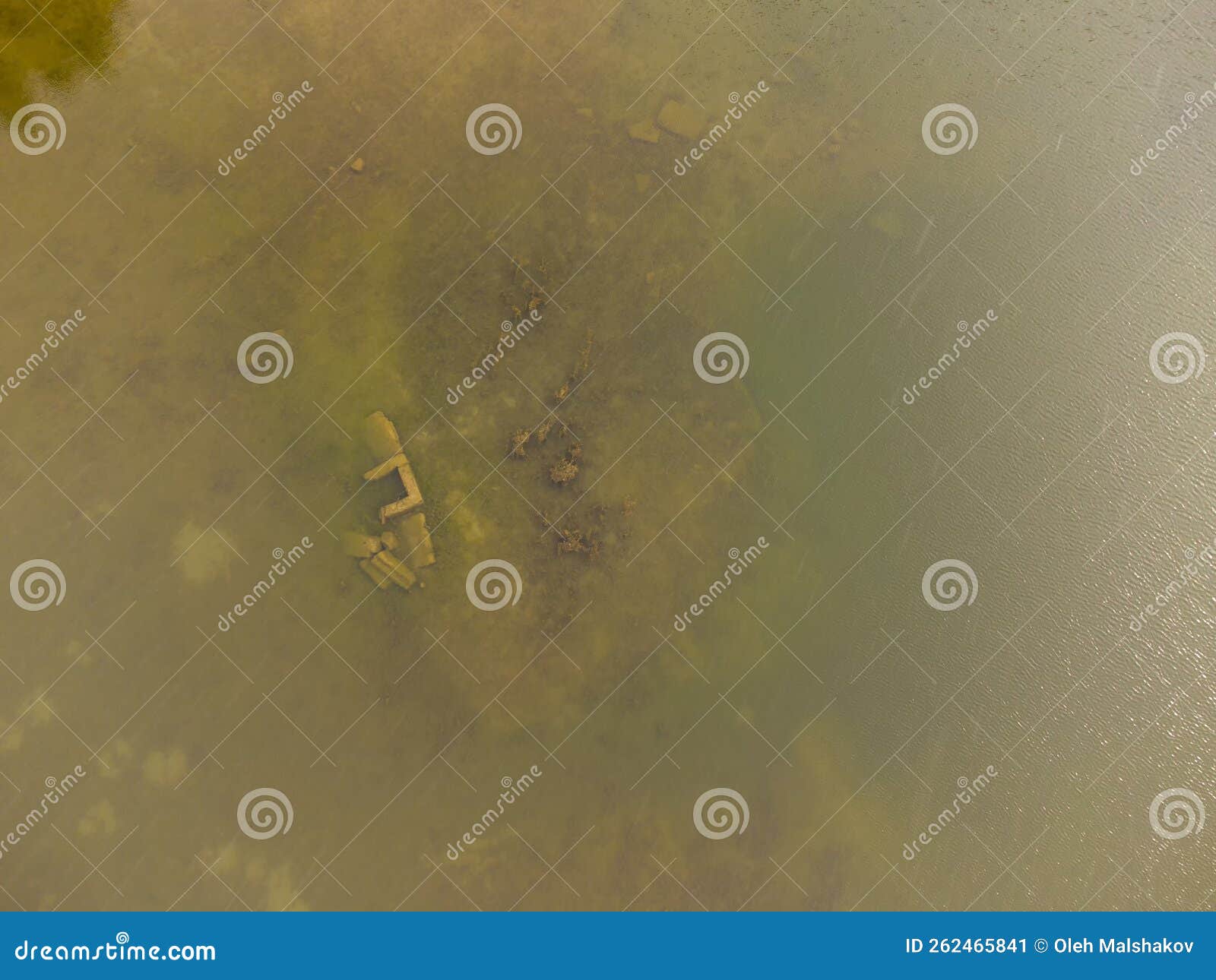 Transparent Green Bottom of the Lake Stock Image - Image of nature ...