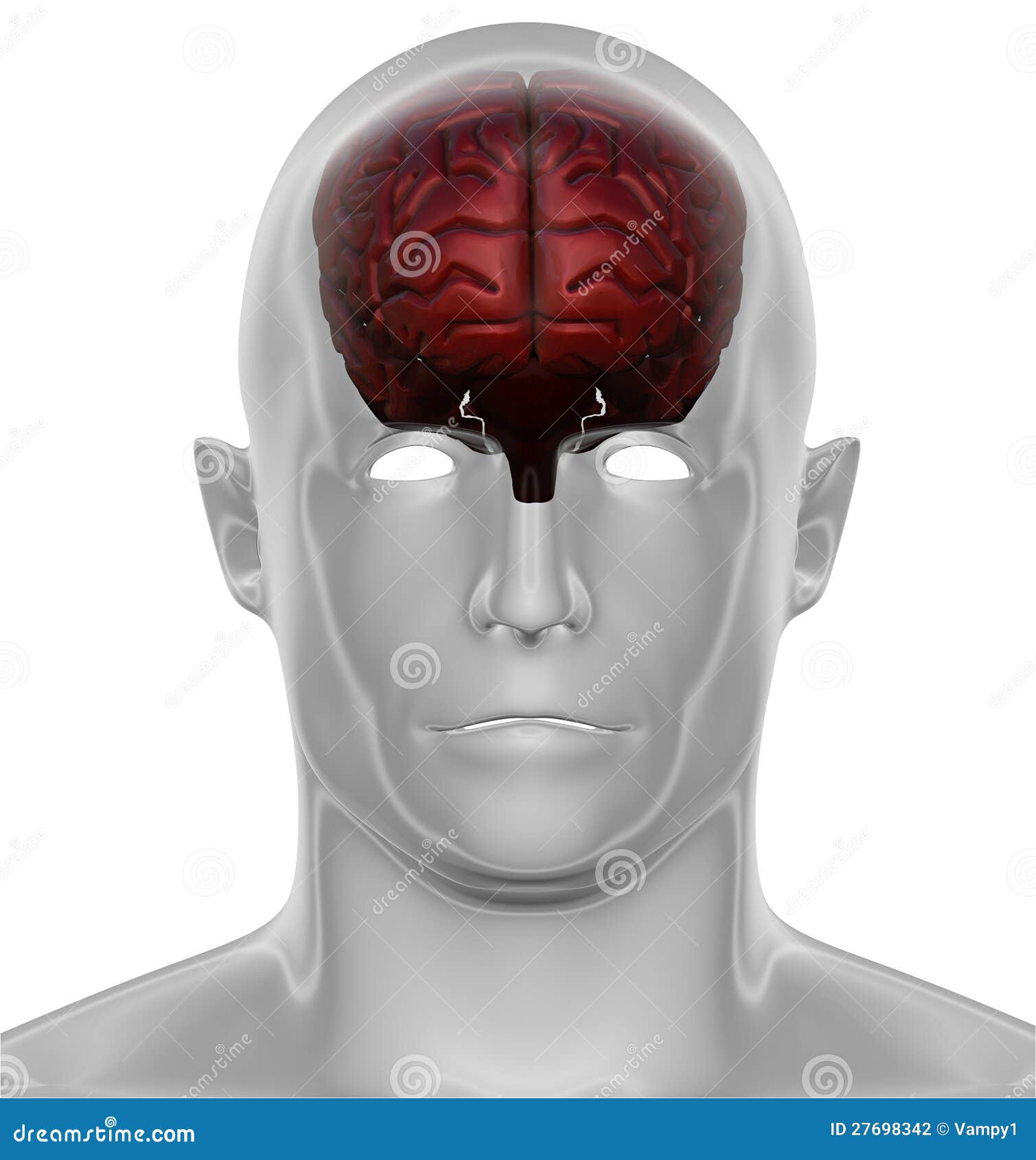 Transparent head and brain stock illustration. Illustration of eyes ...