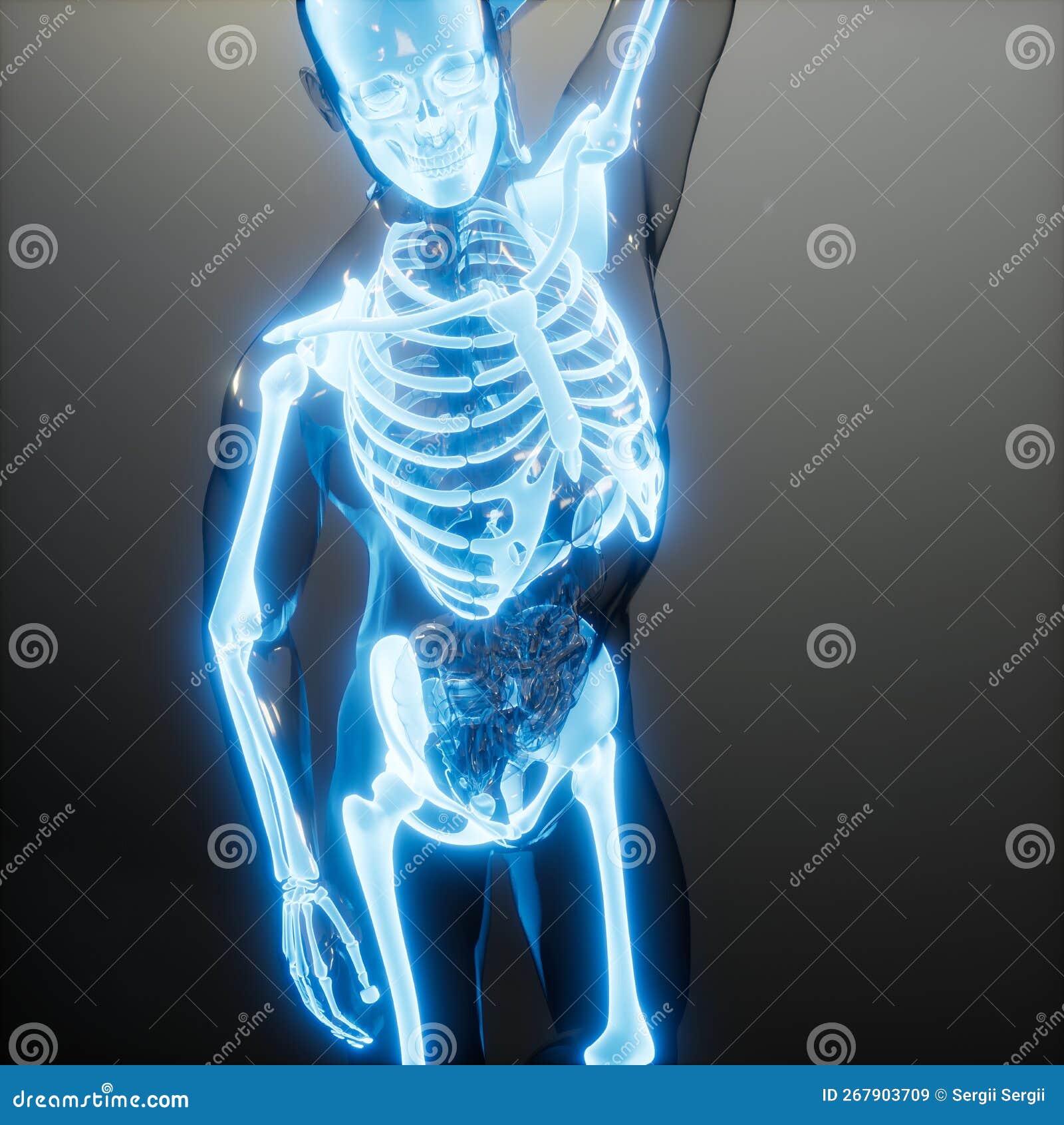 Transparent Human Body with Visible Bones Stock Illustration ...