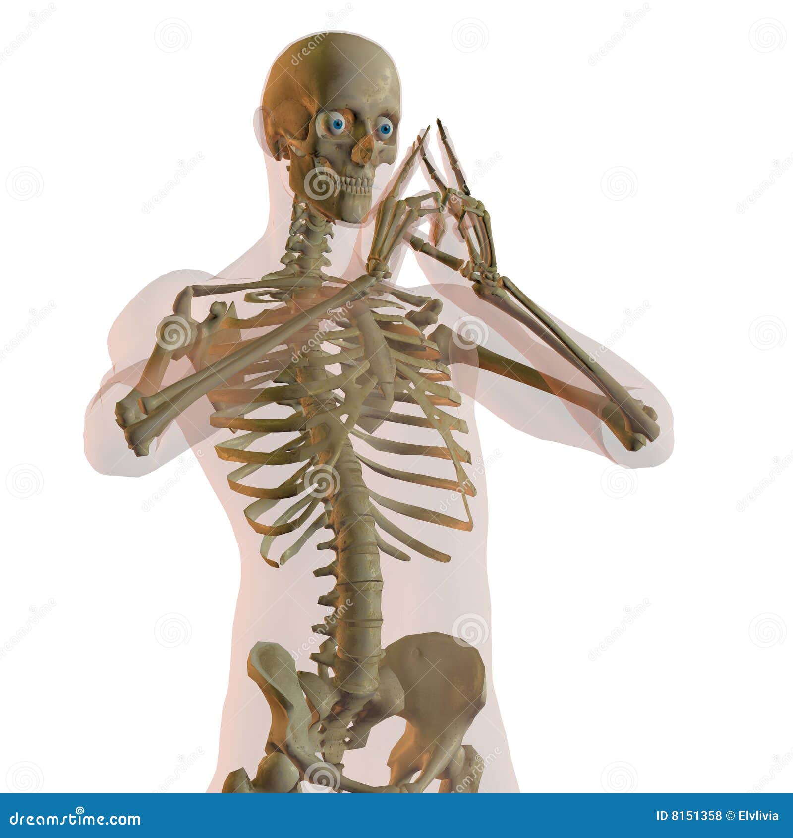 Transparent Human Cell Morphologies Glowing In High Scale Magnification ...