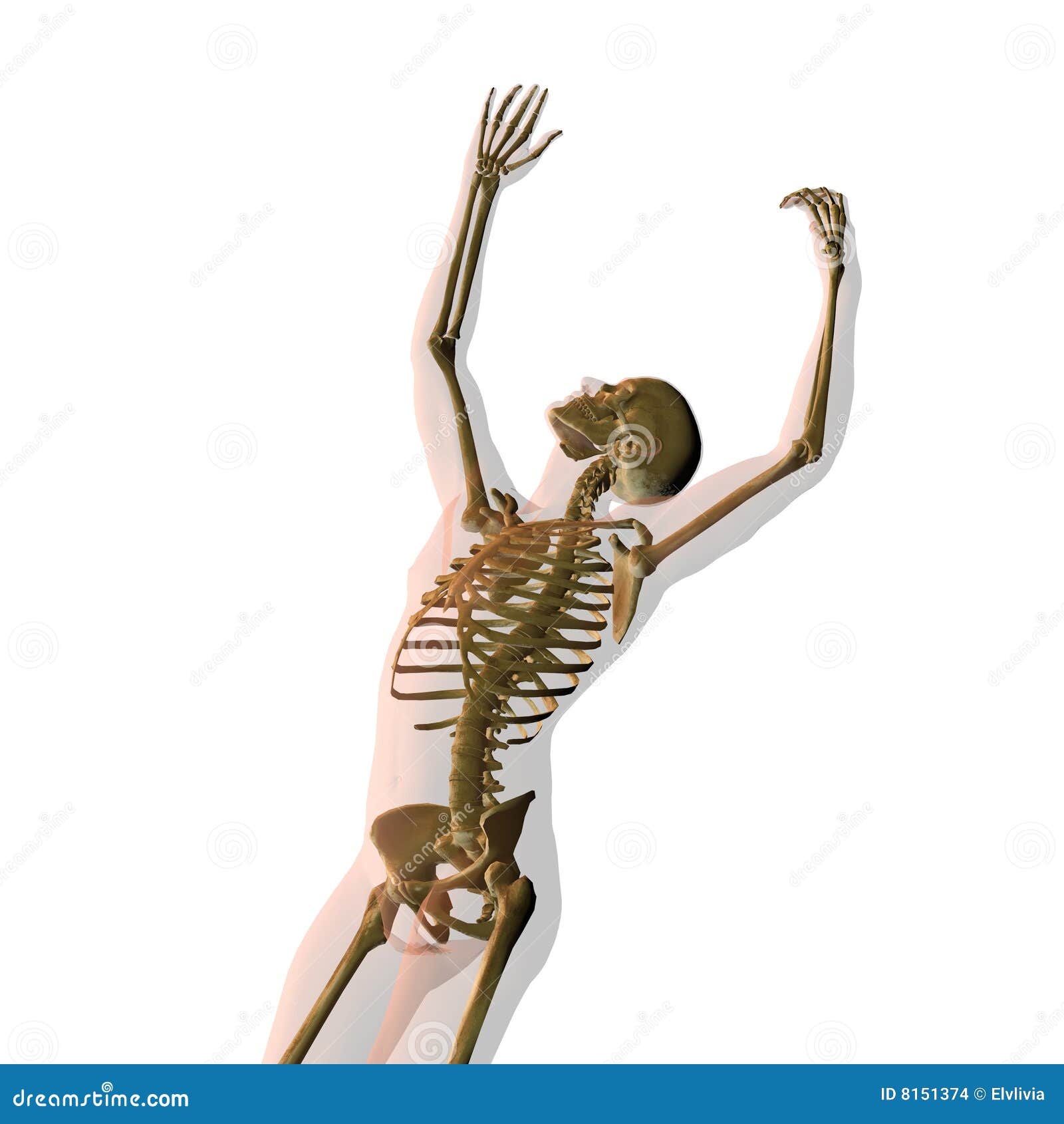 Transparent Human Cell Morphologies Glowing In High Scale Magnification ...