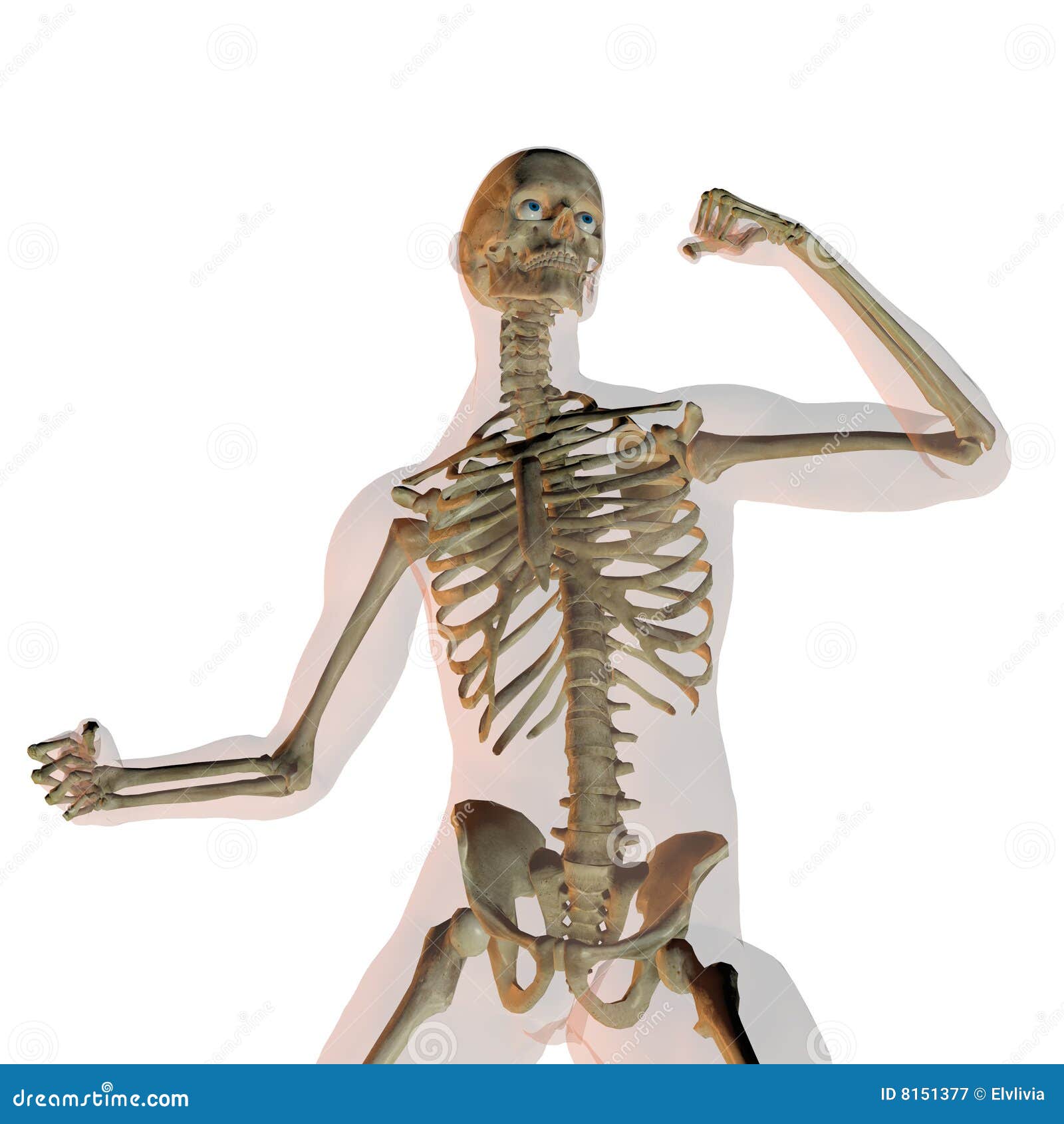 Transparent human male stock illustration. Illustration of pose - 8151377