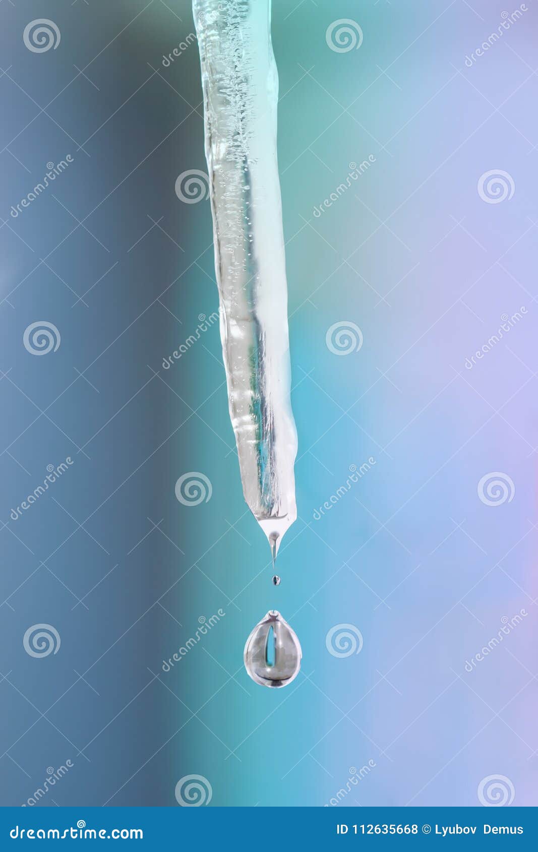 Transparent Icicles with Water Drops in Spring on Delicate Abstract ...