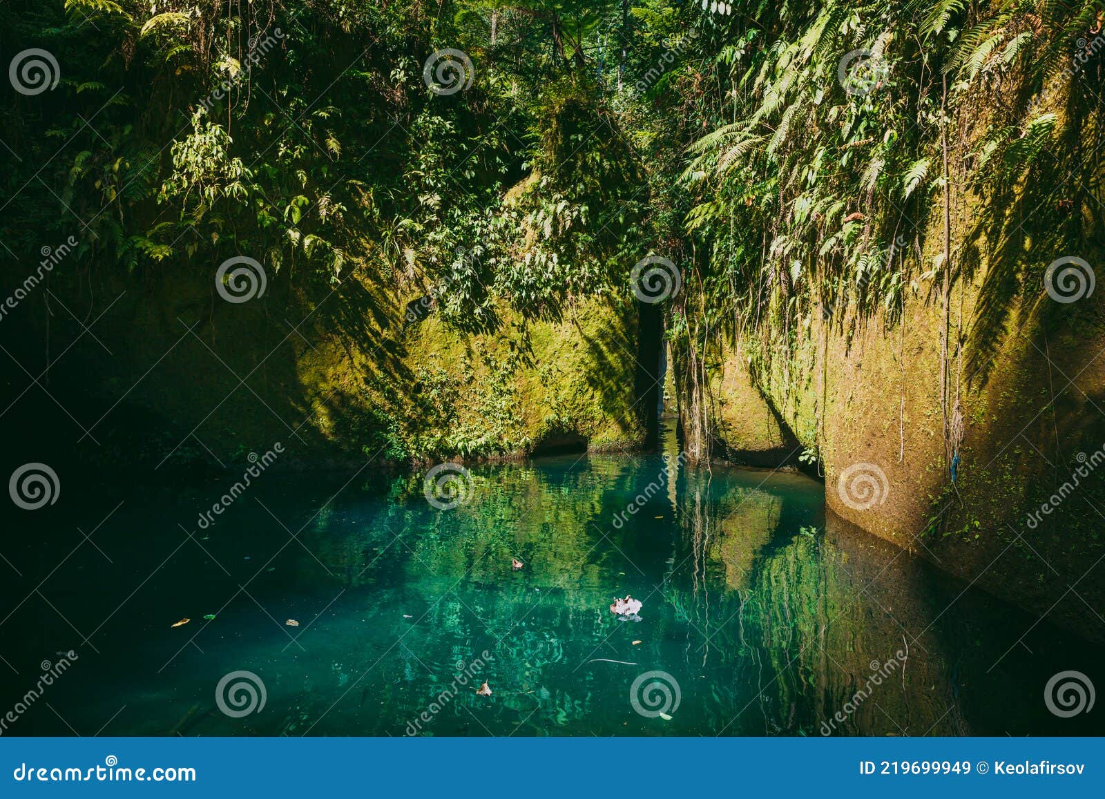 Transparent Lake and Rocks with Tropical Plants Stock Image - Image of ...
