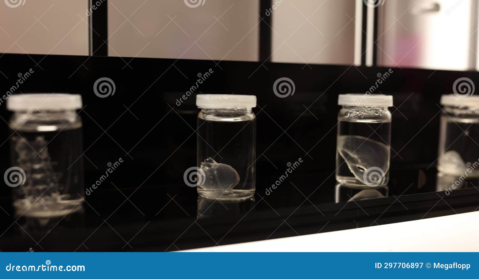 Transparent Organs or Substances in Glass in Solution in Research ...