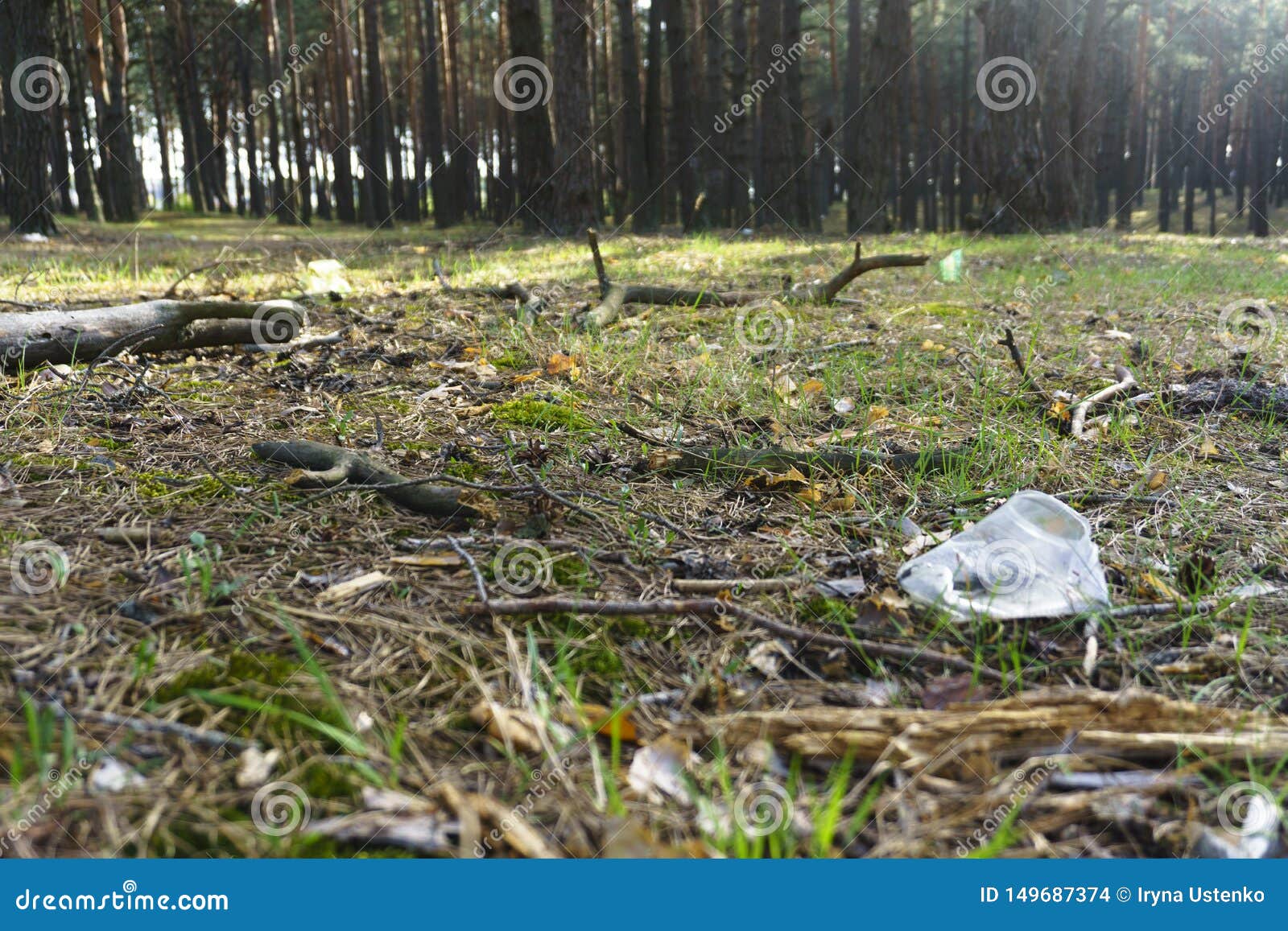 A Transparent Plastic Cup in the Forest. Problem of Ecology Stock Photo ...