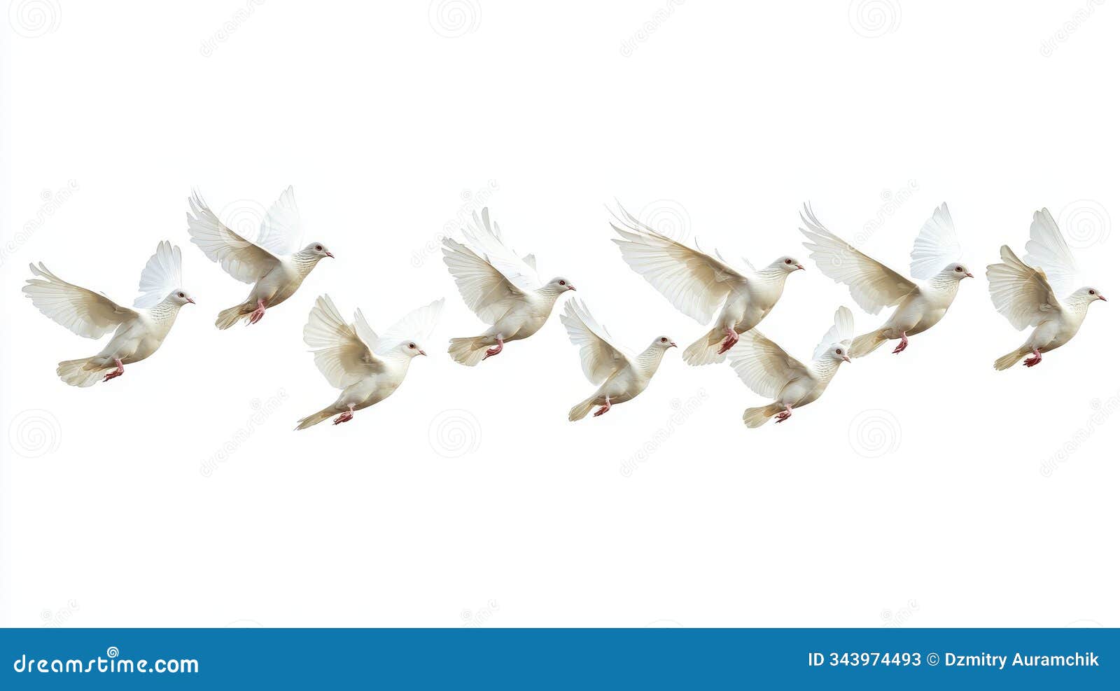 A Transparent Png File of a Group of Doves Flying through the Sky Stock ...