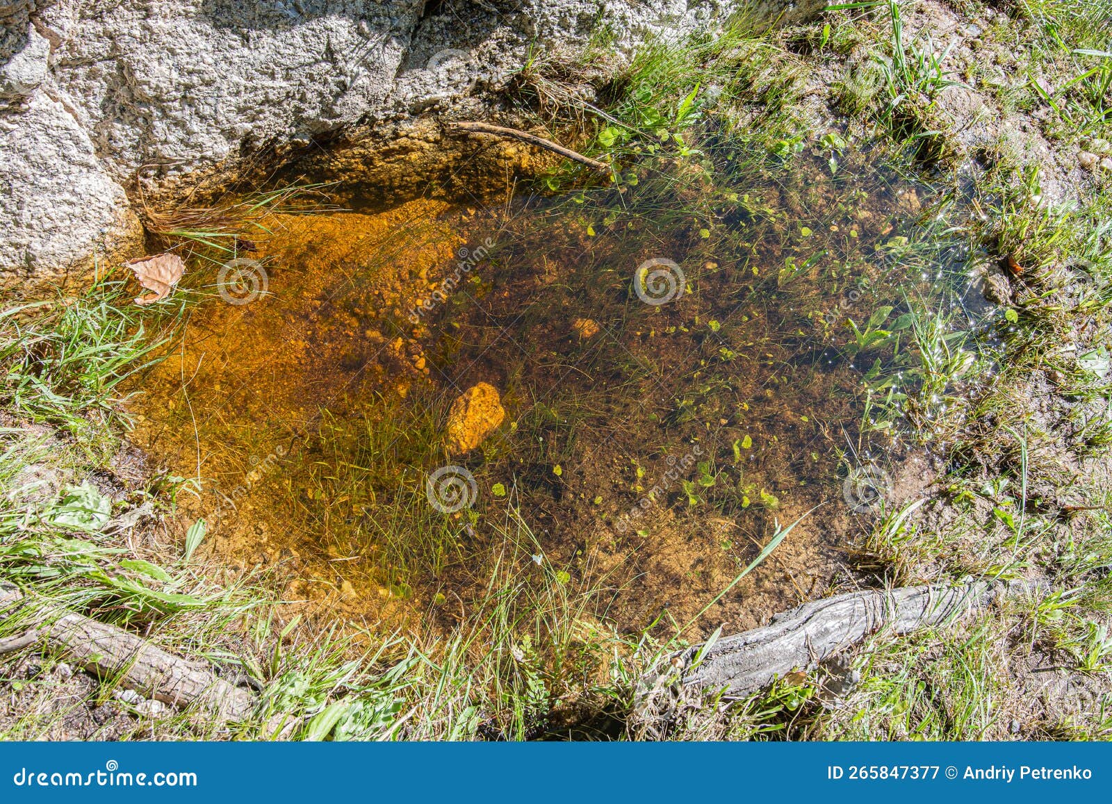Transparent Puddle Formed from the River in the Mountains Stock Image ...