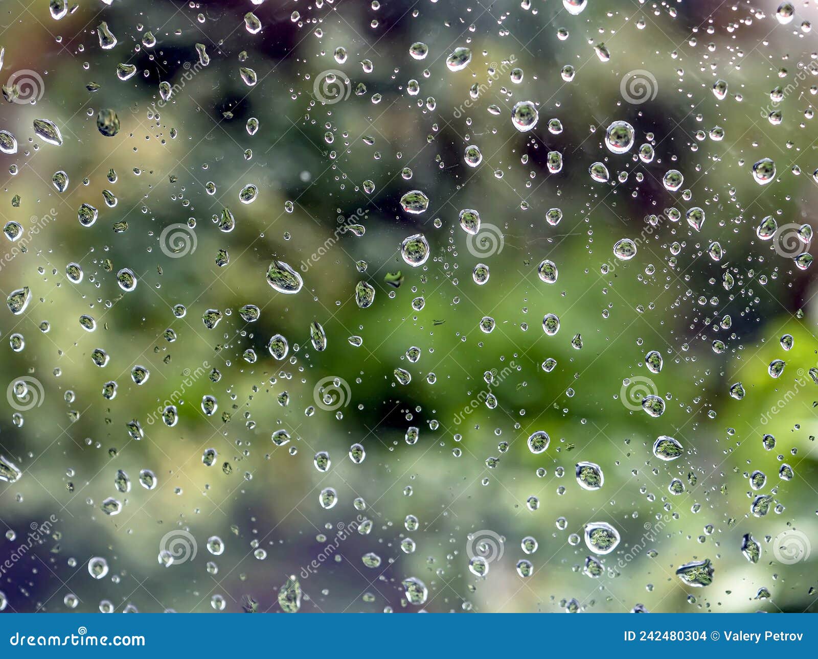 Raindrops on the Window Pane in Autumn Stock Photo - Image of fresh ...