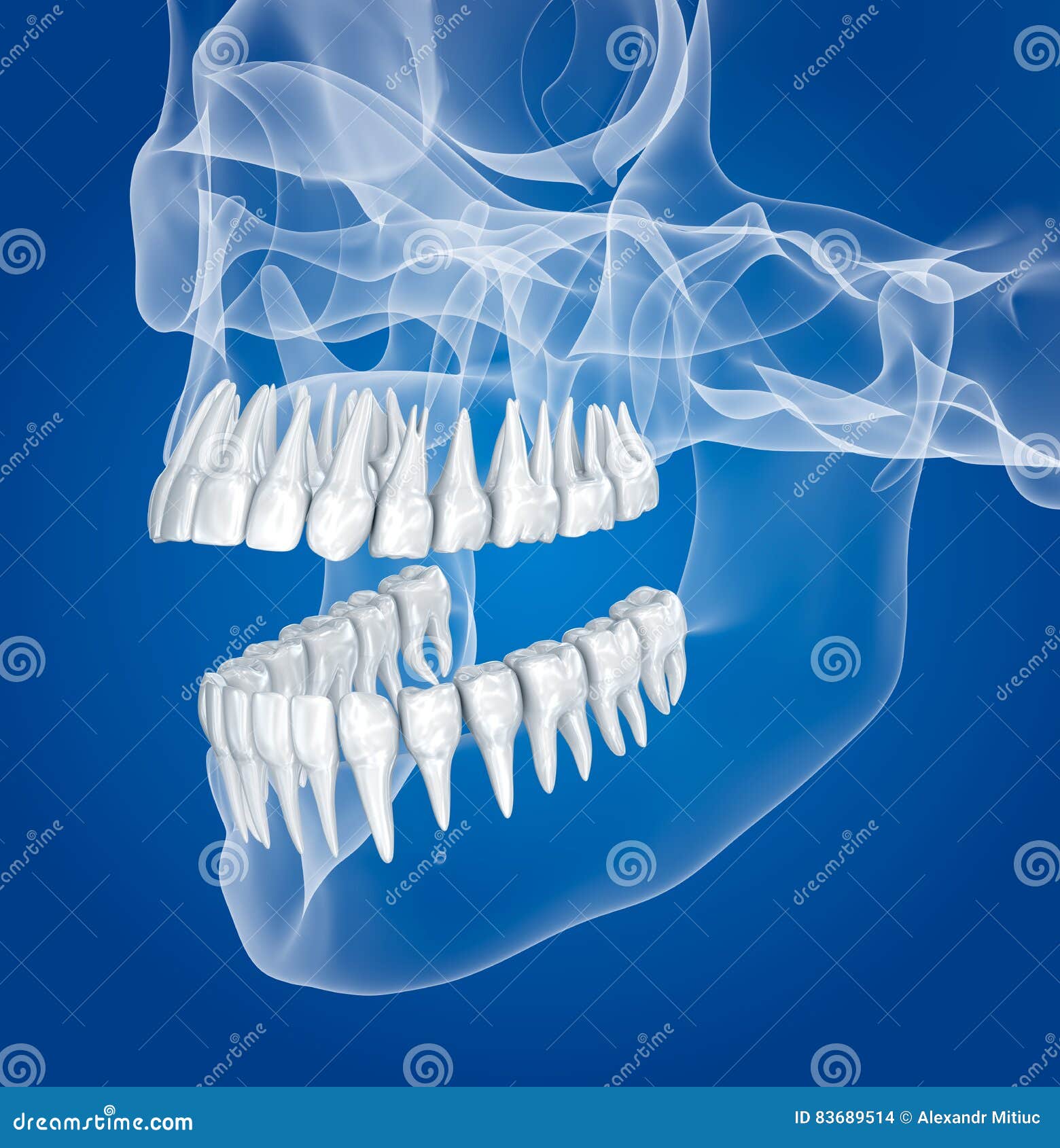 Transparent Teeth. 3d Renderings Of Endodontics Inner Structure Royalty ...