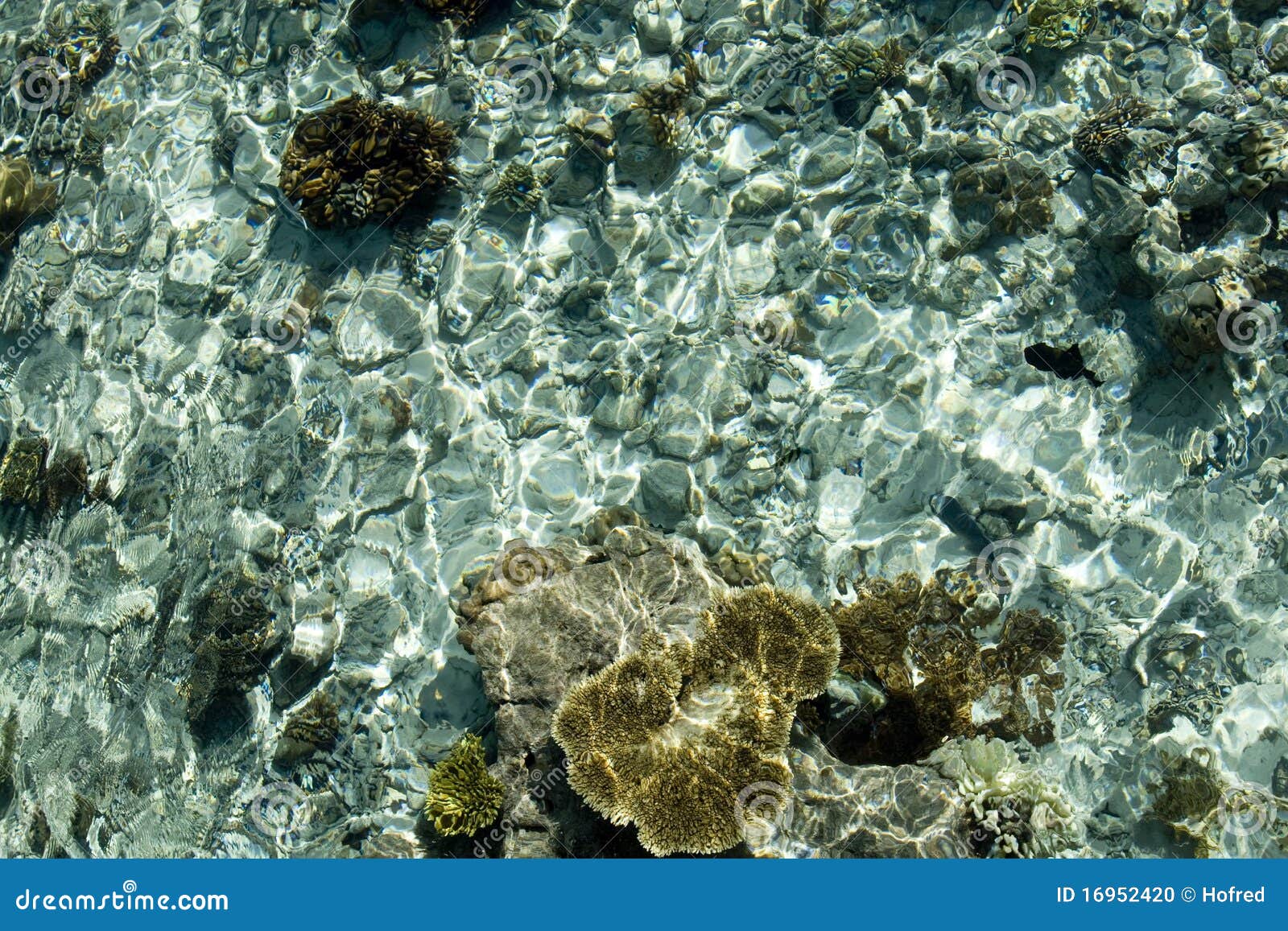 Transparent Sea Water with the Sunlight Reflection Stock Photo - Image ...