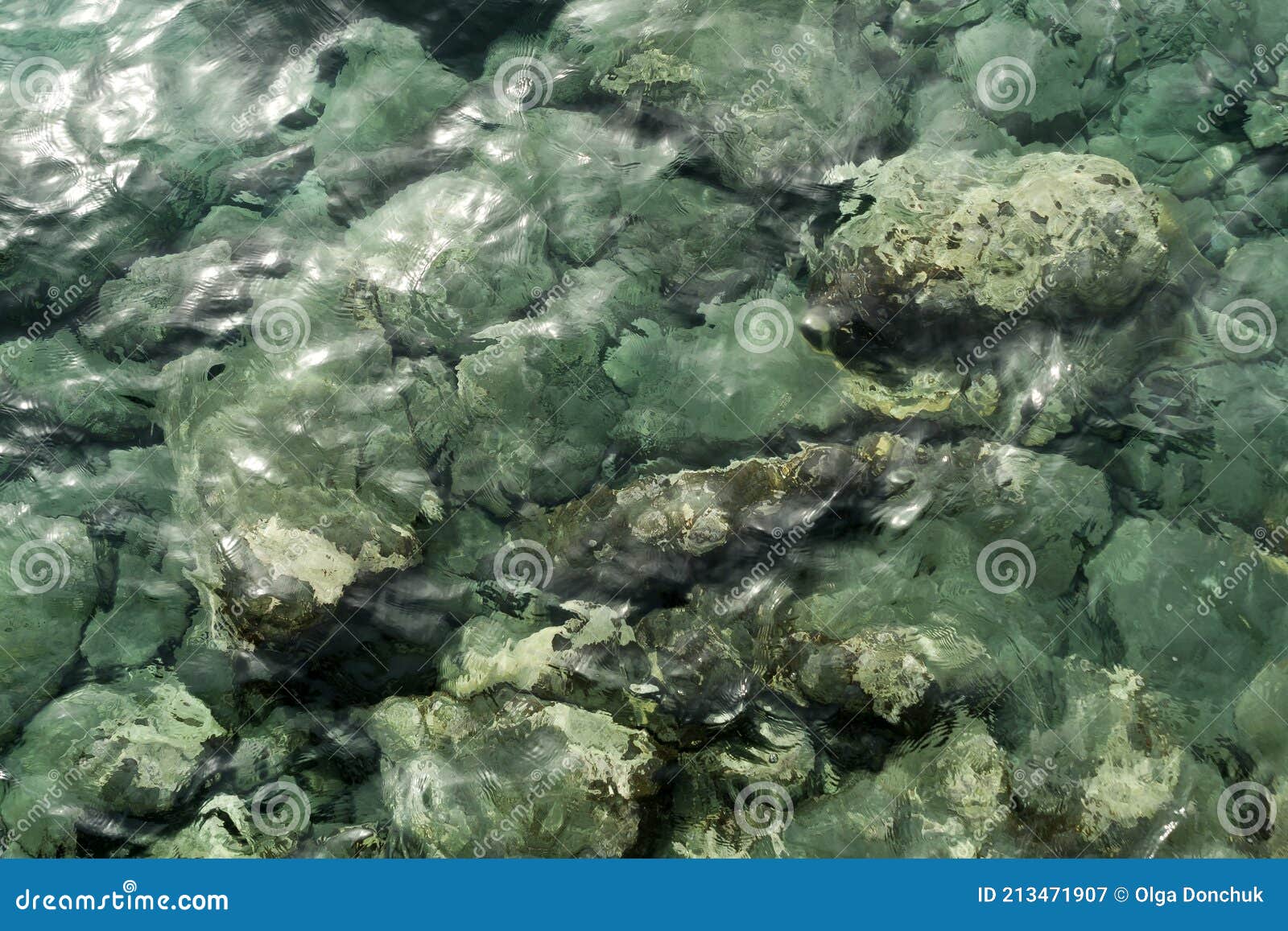 Transparent Sea Water and Underwater Rocks Stock Image - Image of ...