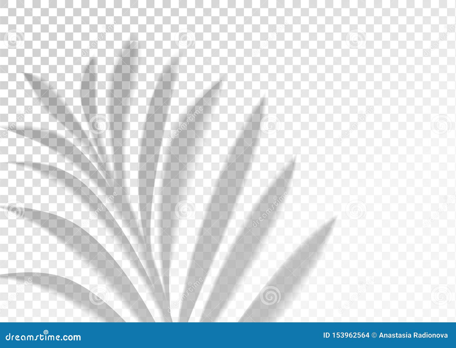 The Transparent Shadow Overlay Effect. Tropic Leaf Stock Vector ... The Transparent Shadow Overlay Effect. Tropic Leaf Stock Vector ...