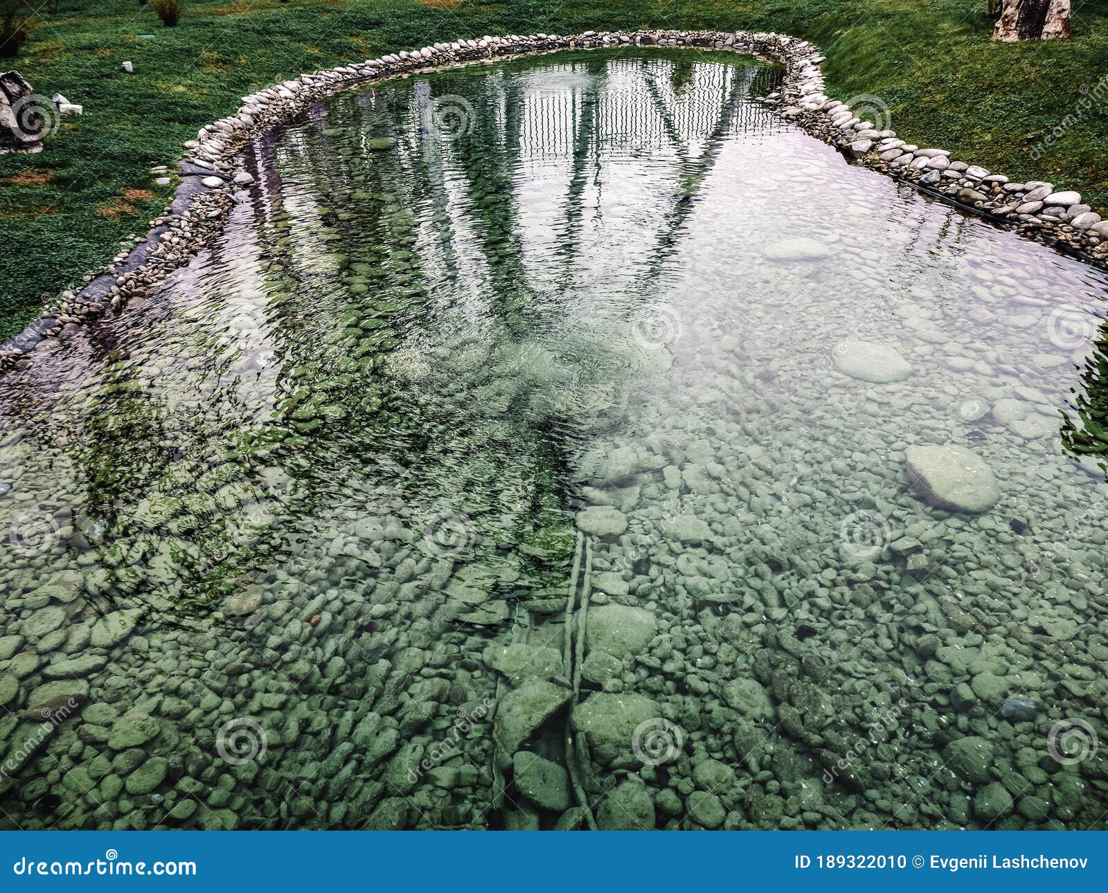 Transparent Shallow Pond with Pebbles at the Bottom with a Rim of ...