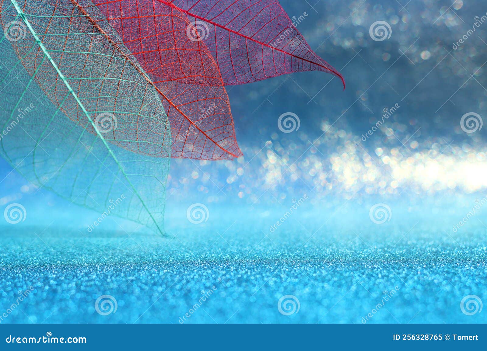 Transparent Skeleton Leaves Over Bright Abstract Background Stock Image ...