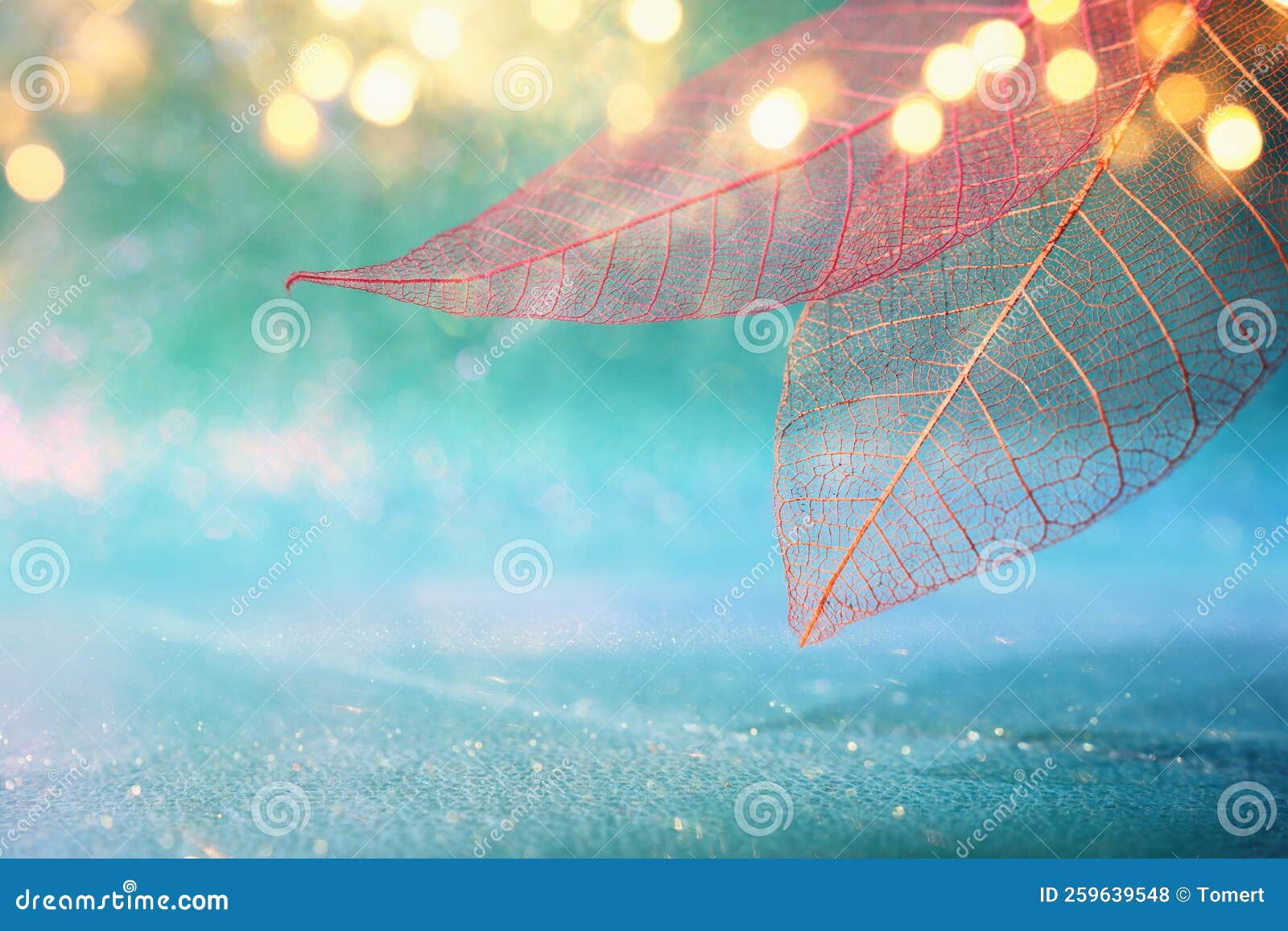 Transparent Skeleton Leaves Over Bright Abstract Background Stock Photo ...