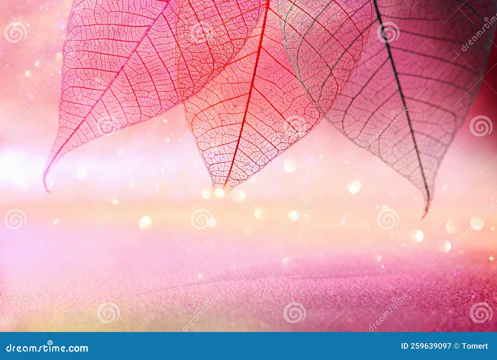 Transparent Skeleton Leaves Over Glitter Bright Abstract Background ...