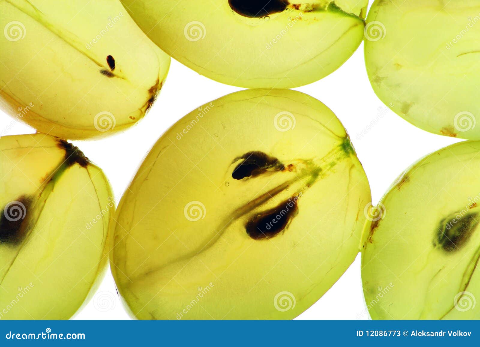 Transparent Slices of Ripe Grapes Stock Image - Image of fresh, bright ...