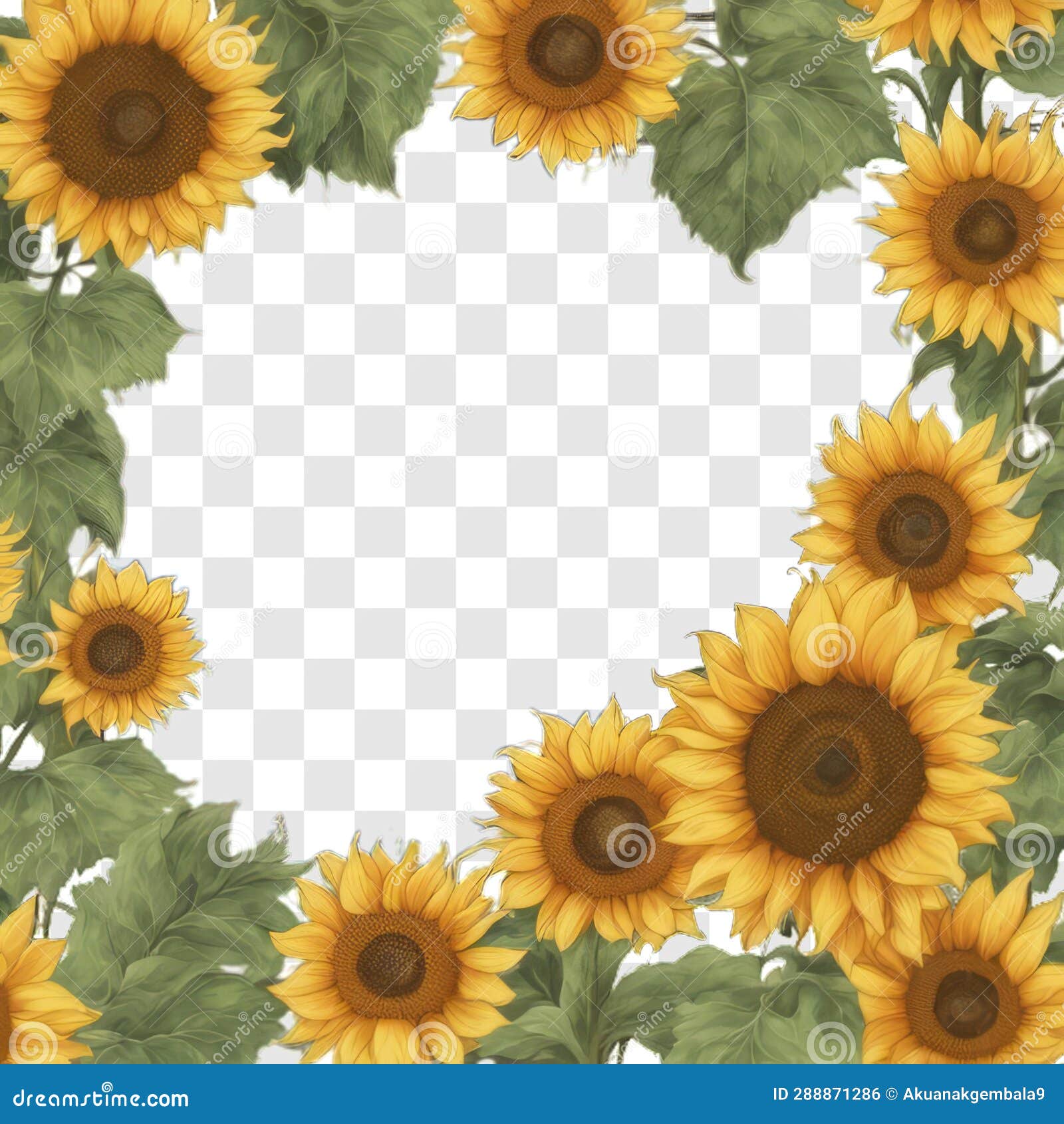 Transparent Sunflowers Frame Border Royalty-Free Stock Image ...