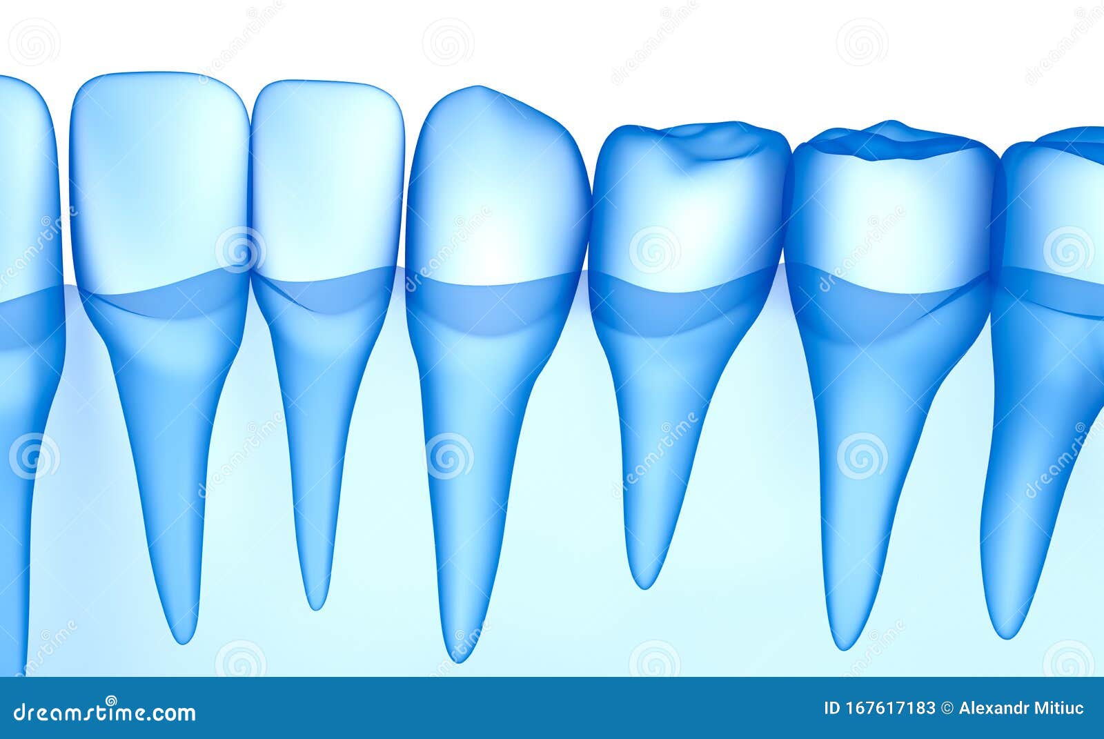 Transparent Teeth Scan, Xray View Stock Illustration - Illustration of ...