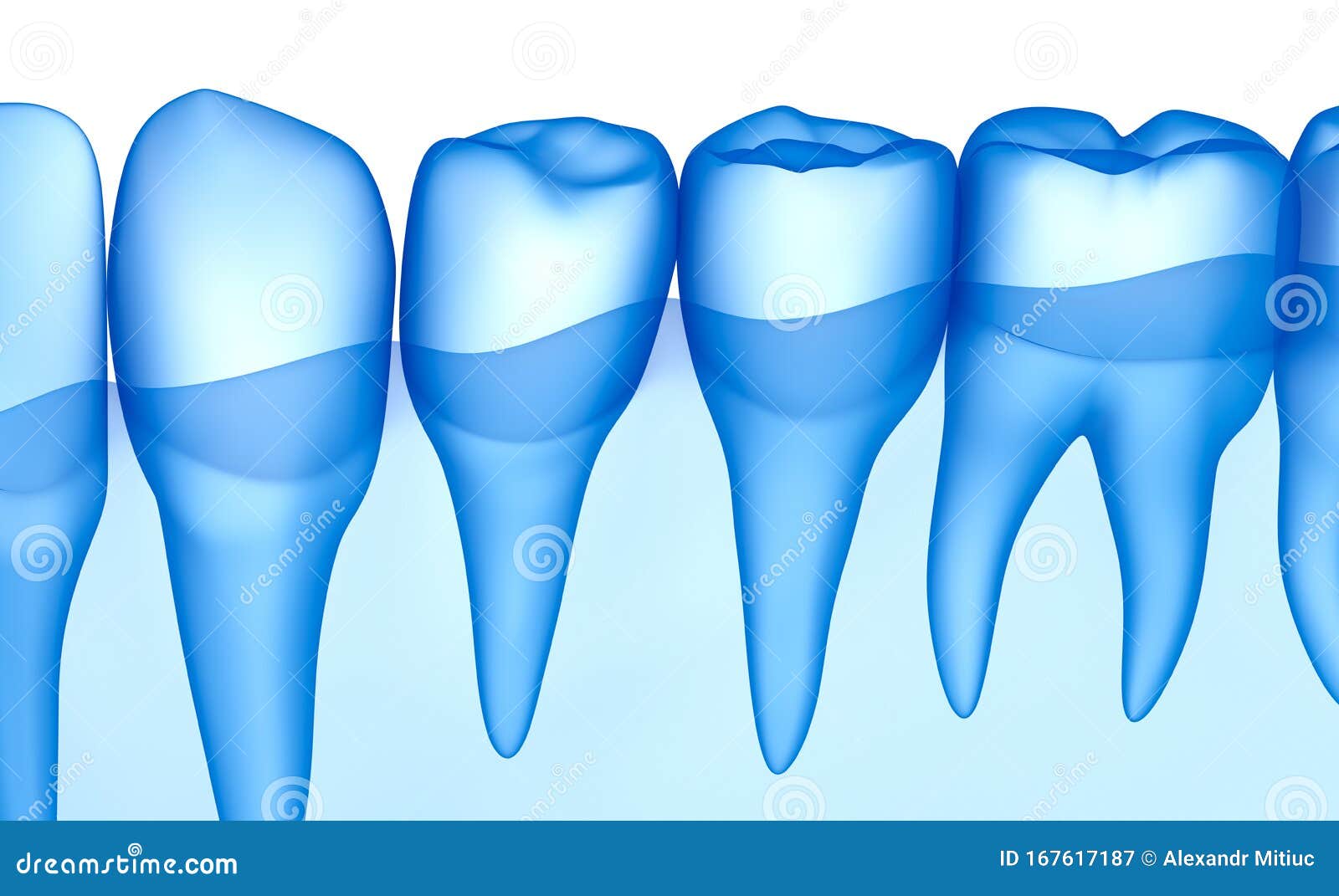 Transparent Teeth Scan, Xray View Stock Illustration - Illustration of ...