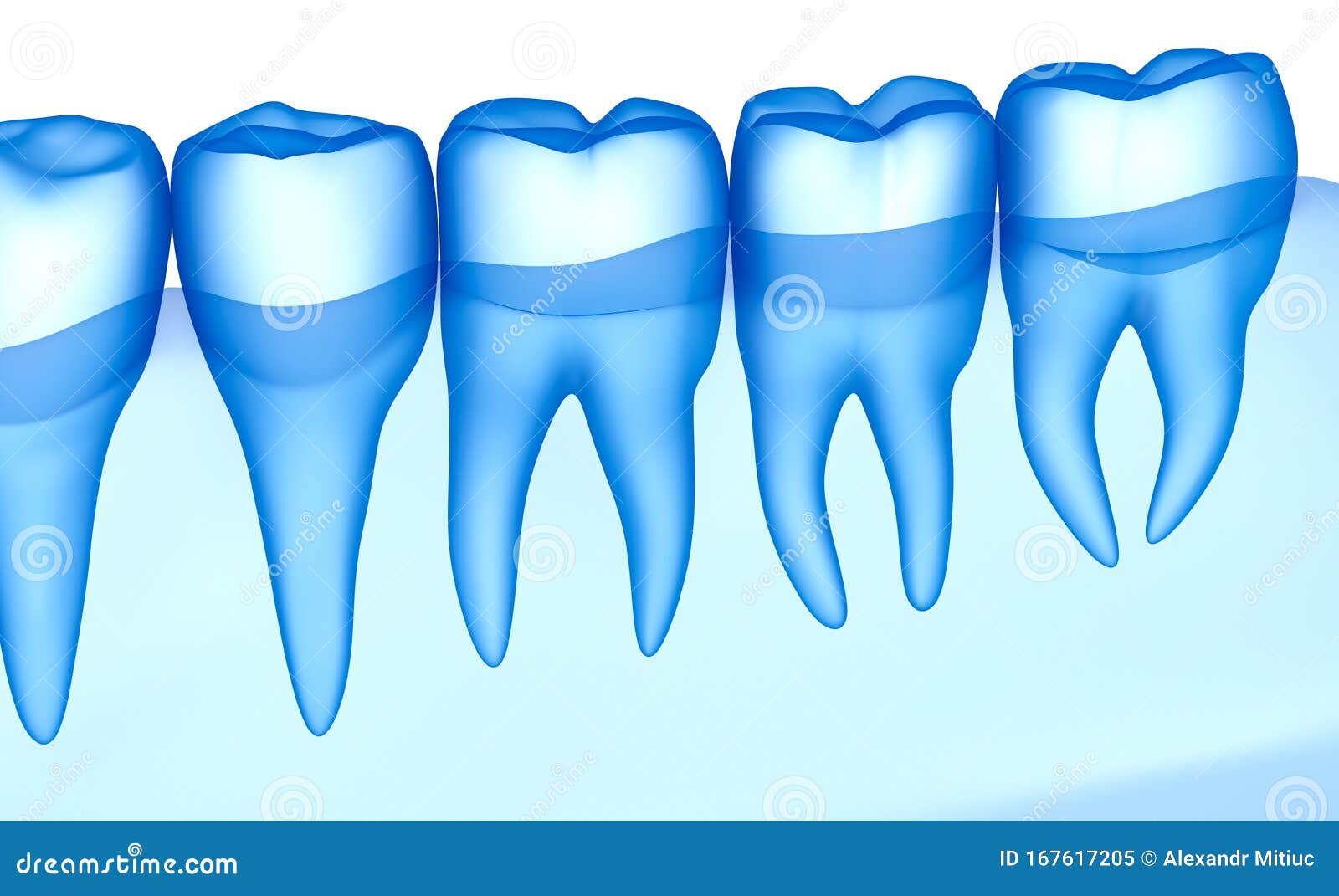Transparent Teeth Scan, Xray View . Stock Illustration - Illustration ...