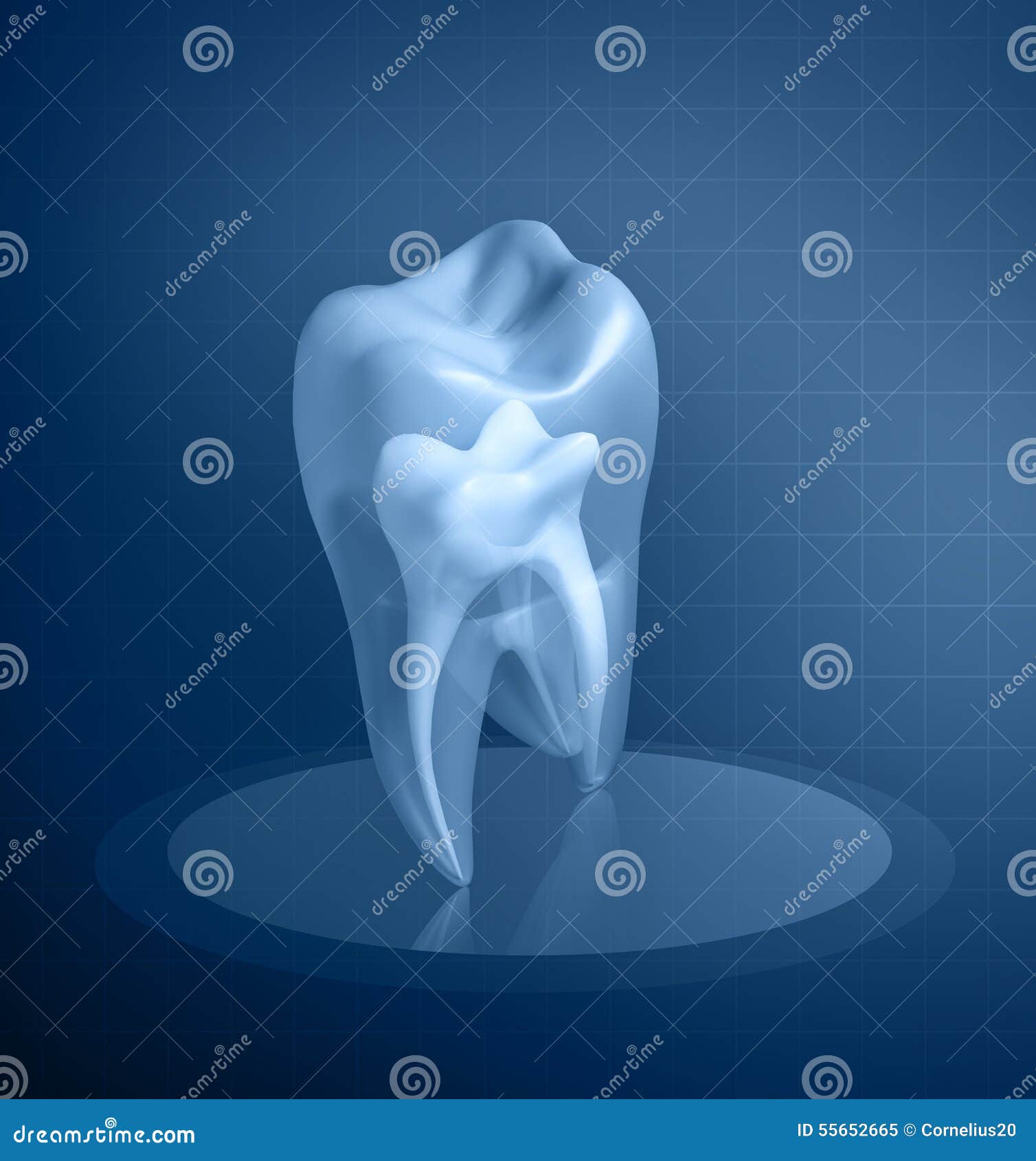 Transparent tooth stock illustration. Illustration of dentistry - 55652665