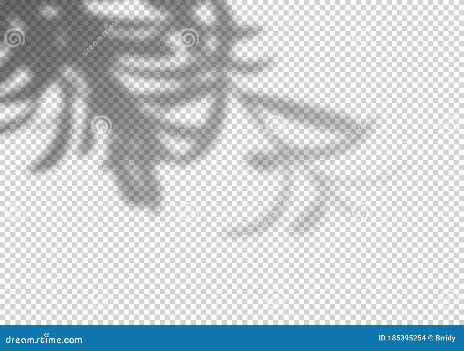 Vector Set With Shadow Overlays On Transparent Background. Window Frame ...