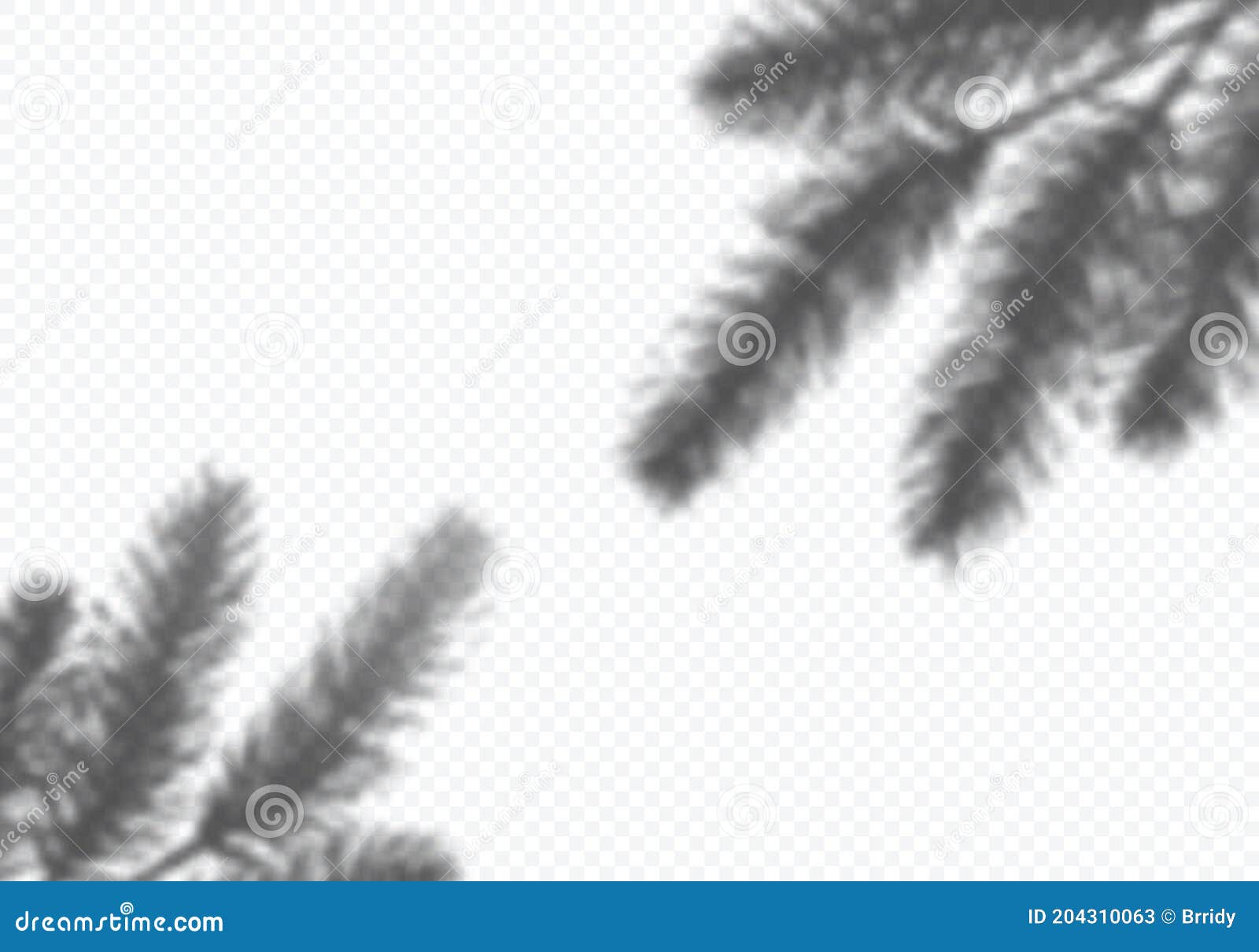 Transparent Vector Shadow of Christmas Tree Branches. Decorative Design ...