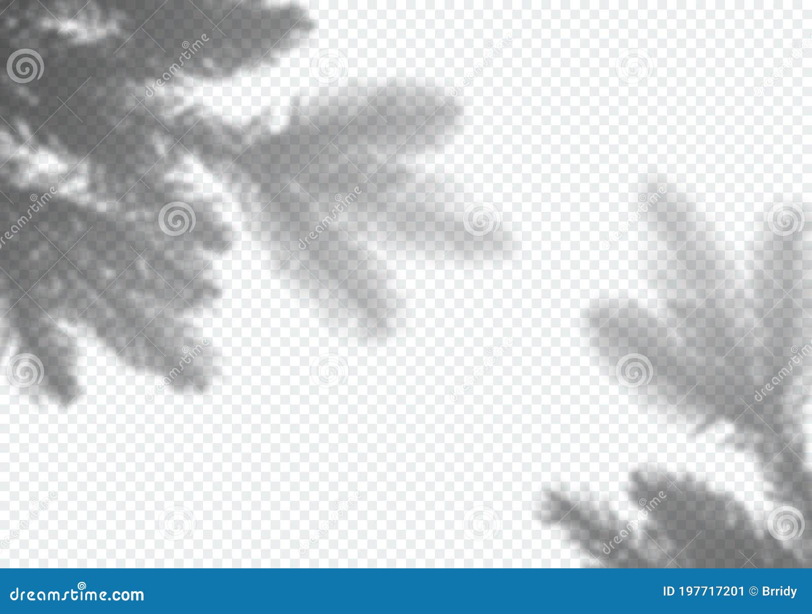 Transparent Vector Shadow of Christmas Tree. Stock Vector ...