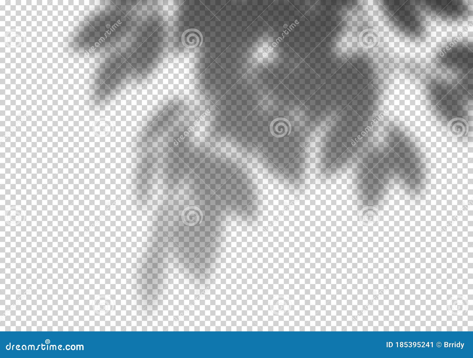 Vector Set With Shadow Overlays On Transparent Background. Window Frame ...