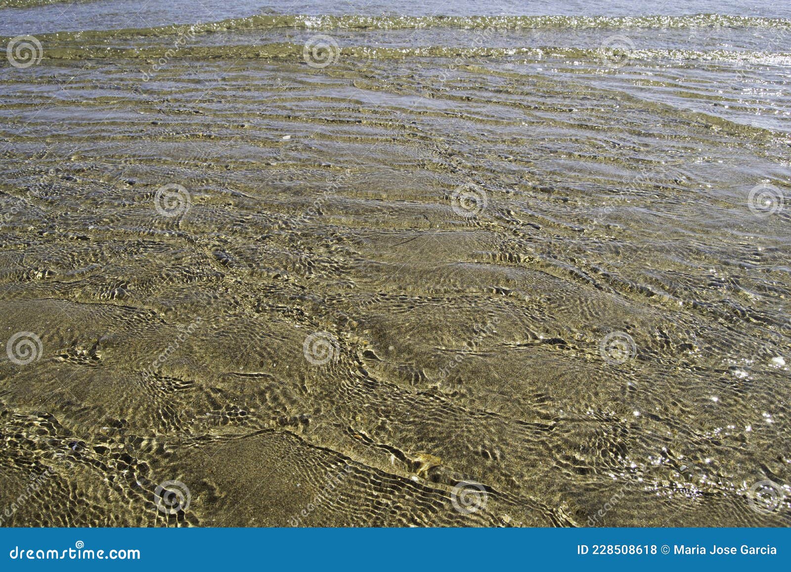 Transparent Water on the Shore of a Beach with Sea Shells. Background ...