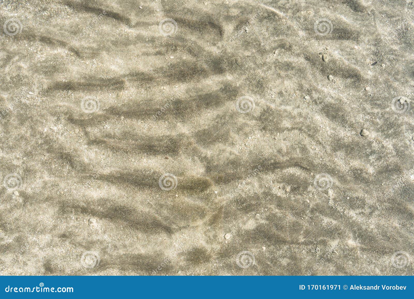 Transparent Water Surface and Sand on the Lake Bottom. Stock Image ...