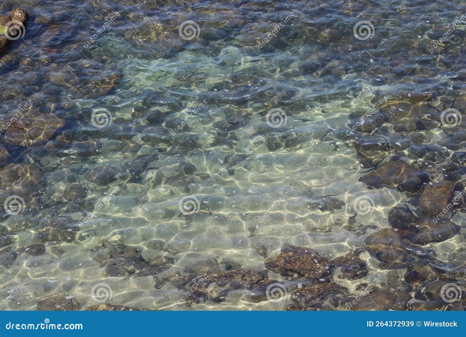 Transparent Water Surface with Stones at the Bottom. Stock Image ...