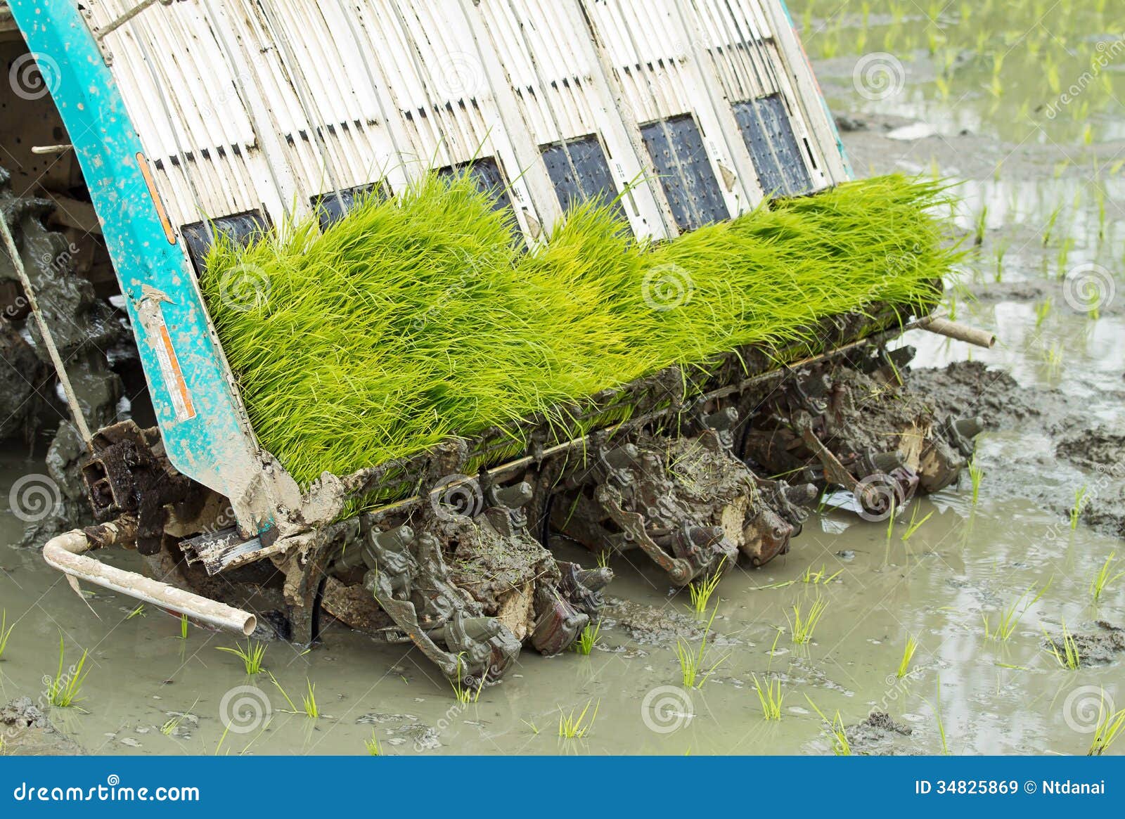 Transplanting rice machine stock image. Image of agriculture - 34825869