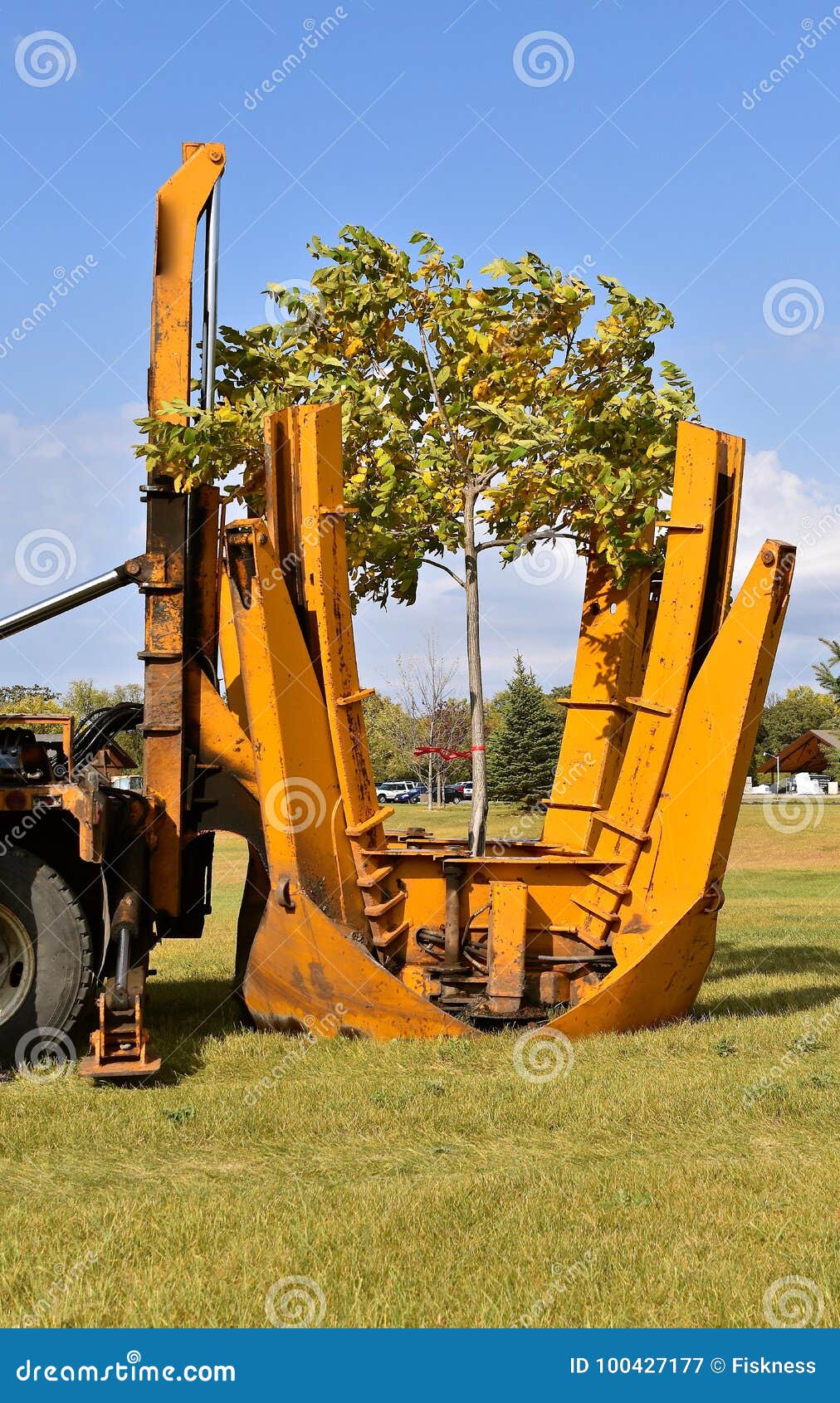 Transplanting a Tree with a Portable Mounted Machine Stock Image ...