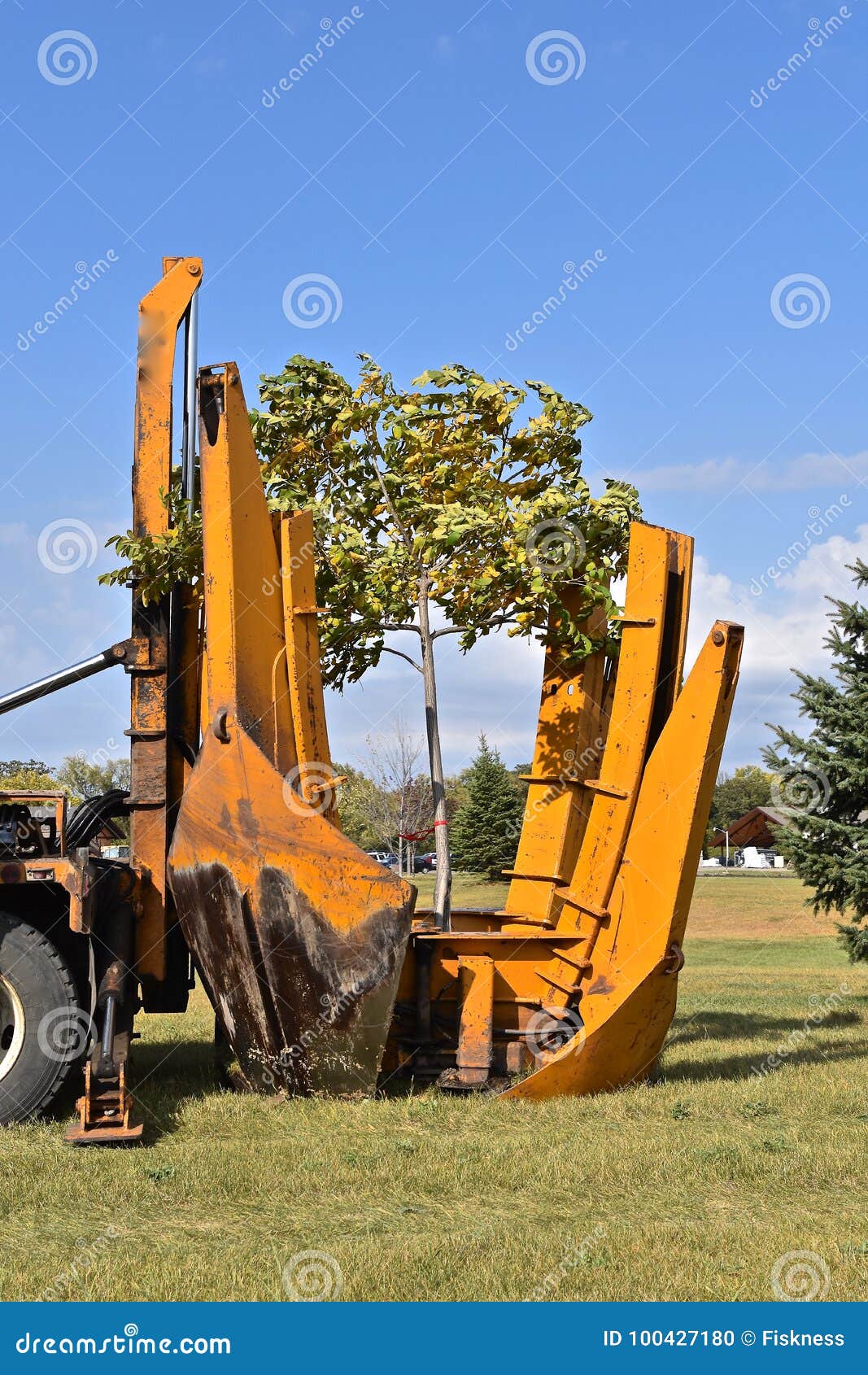 Transplanting a Tree with a Portable Mounted Machine Stock Photo ...