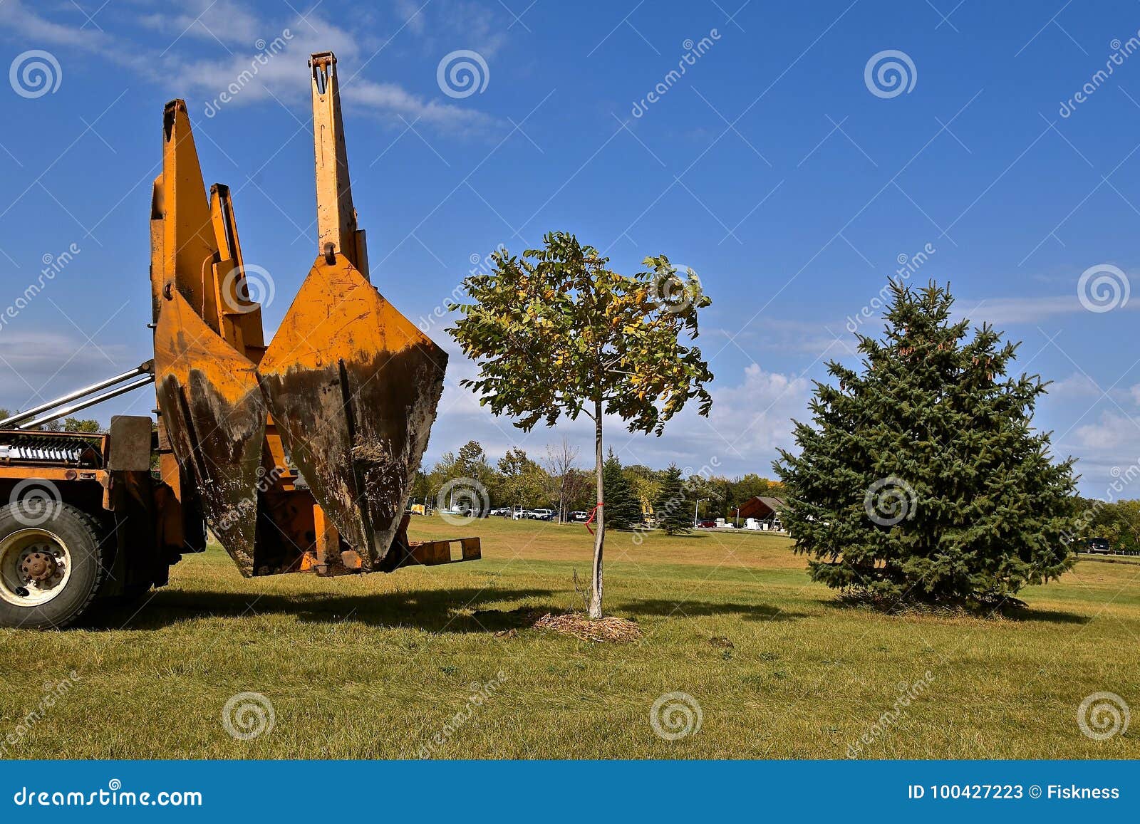 Transplanting a Tree with a Portable Mounted Machine Stock Image ...