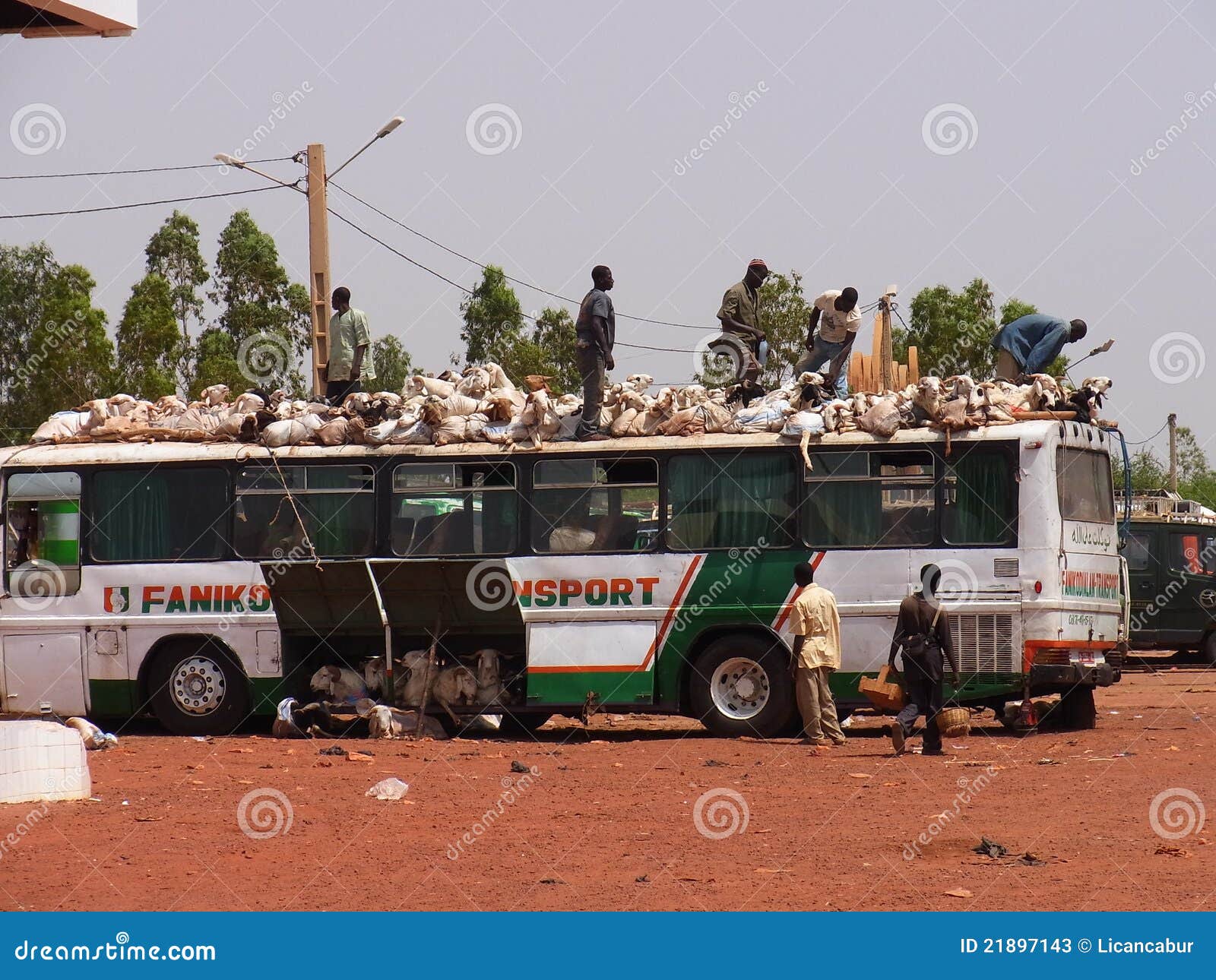 Transport africain photo stock éditorial. Image du sénégal - 21897143
