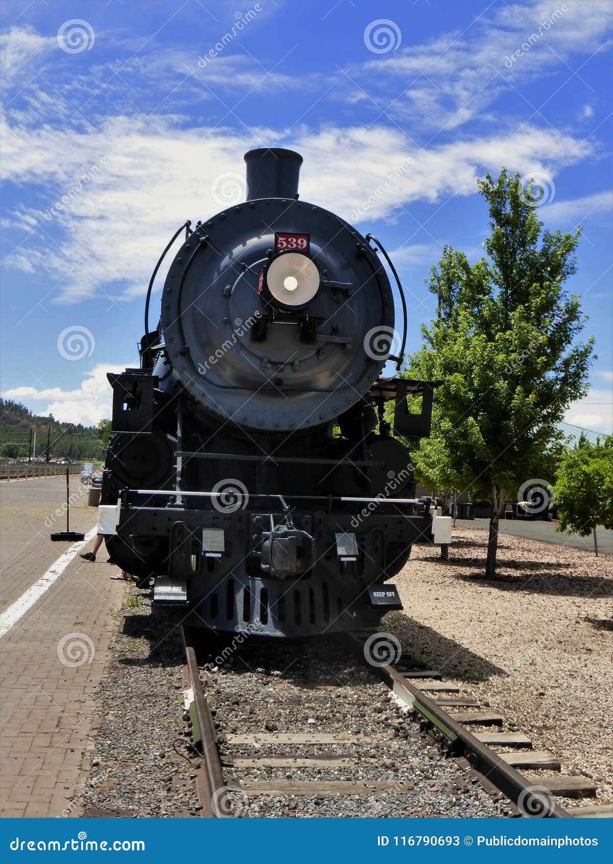 Transport, Locomotive, Train, Steam Engine Picture. Image: 116790693