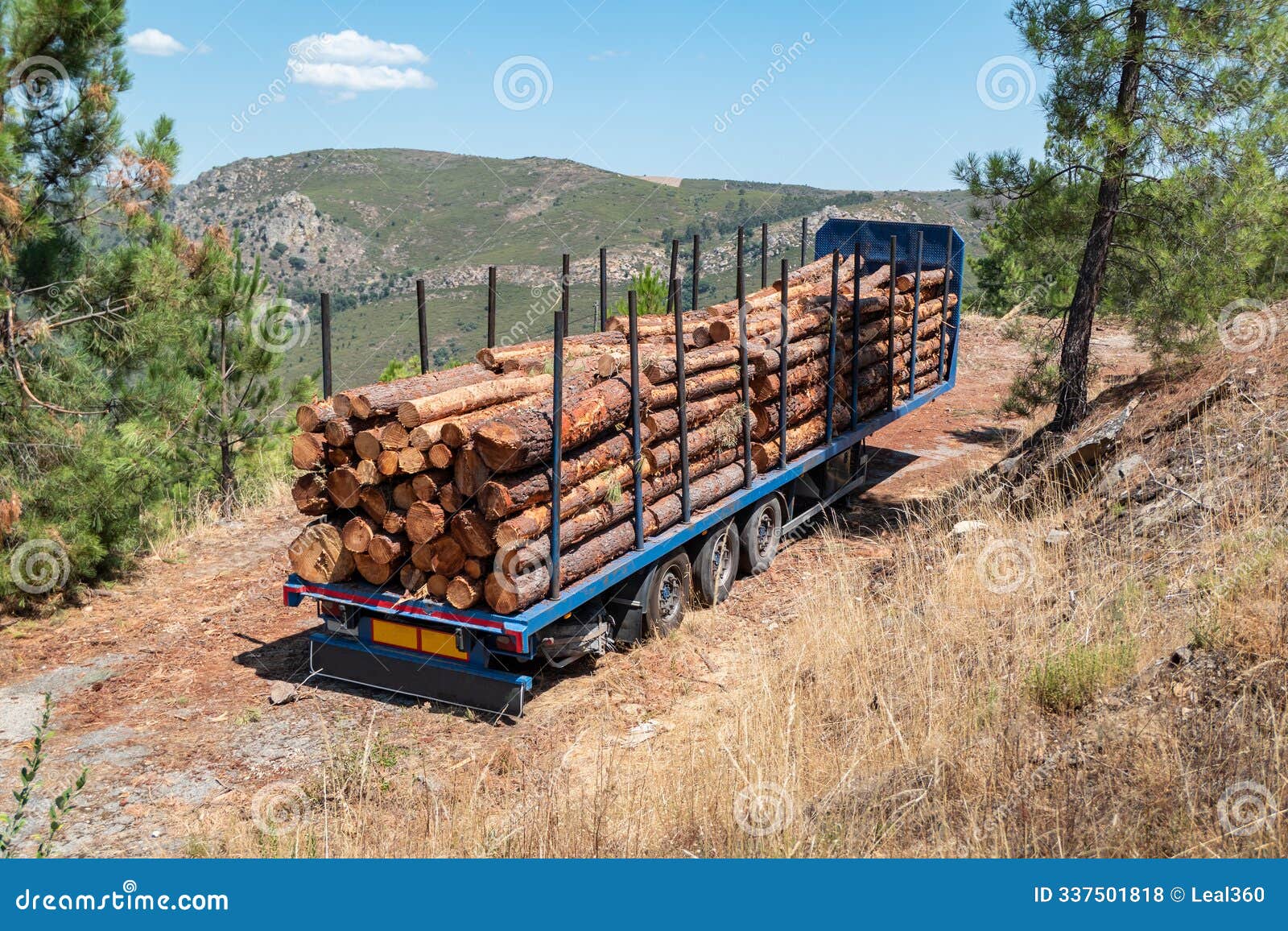 Transport of Logs for the Timber Sector Stock Photo - Image of pine ...