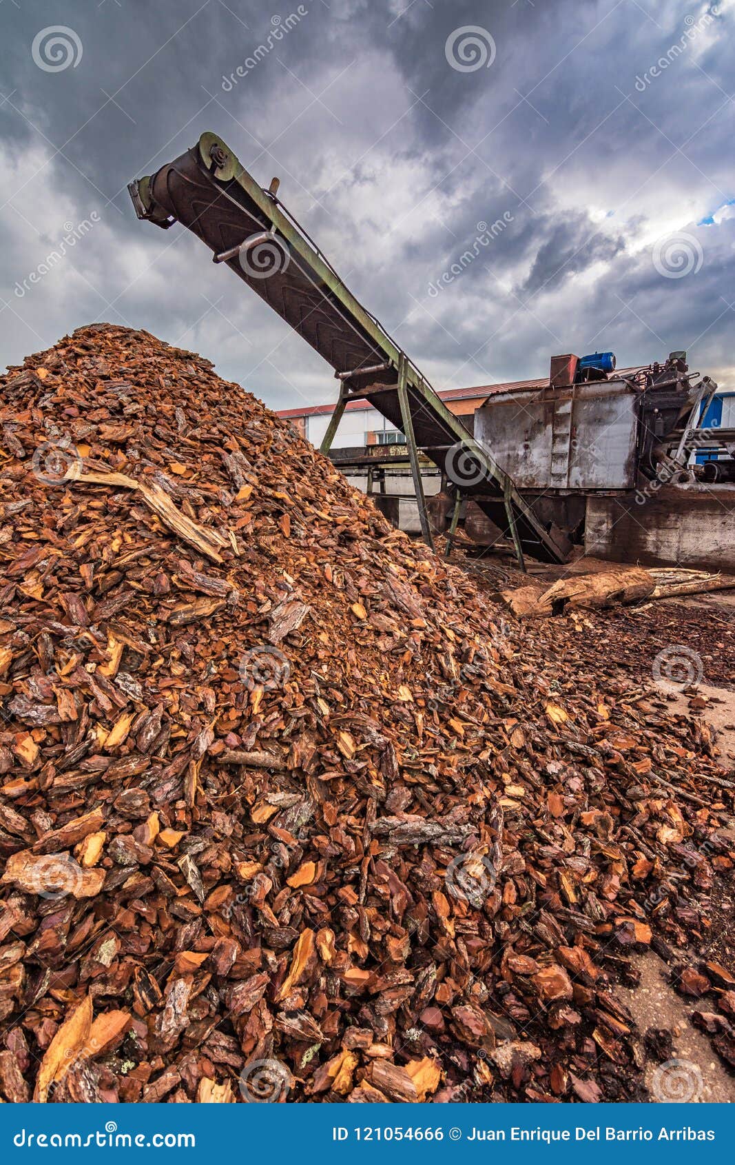 Transport of Pine Logs in a Sawmill for Processing and Pellet ...