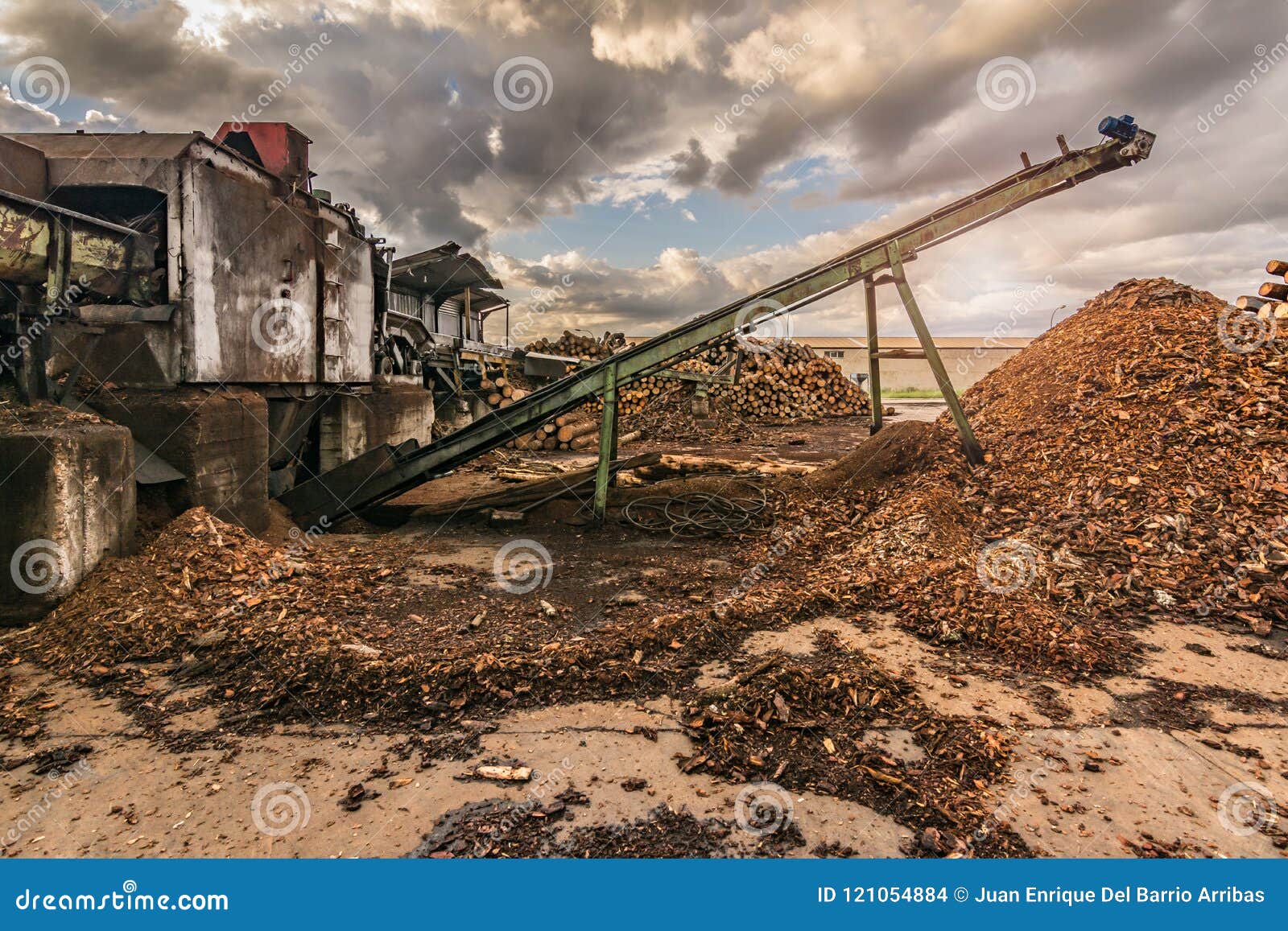 Transport of Pine Logs in a Sawmill for Processing and Pellet ...