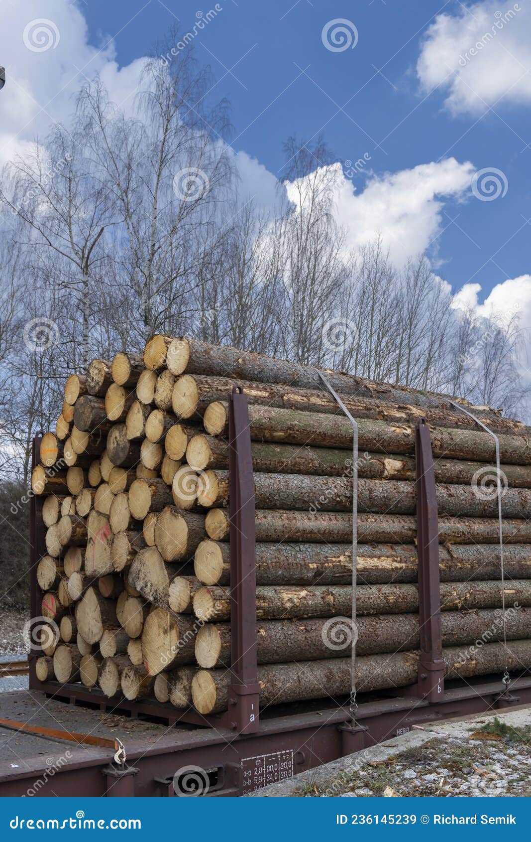 Transport of Timber on Railway Wagons Stock Image - Image of lumber ...