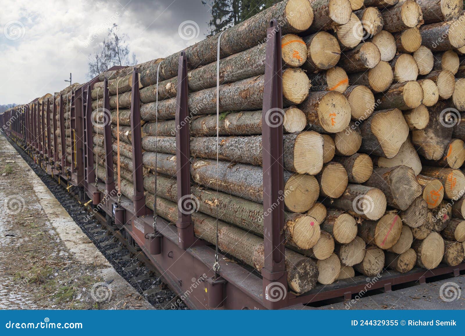 Transport of Timber on Railway Wagons Stock Image - Image of railroad ...