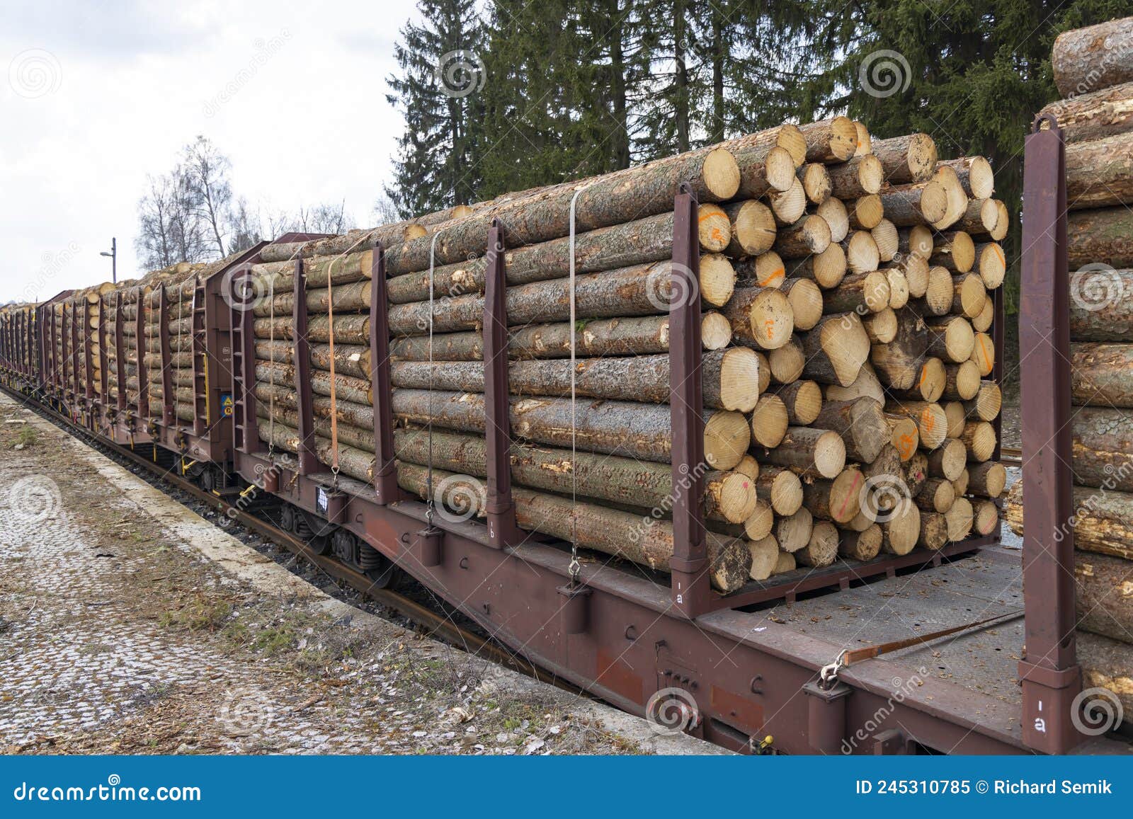 Transport of Timber on Railway Wagons Stock Image - Image of shipping ...